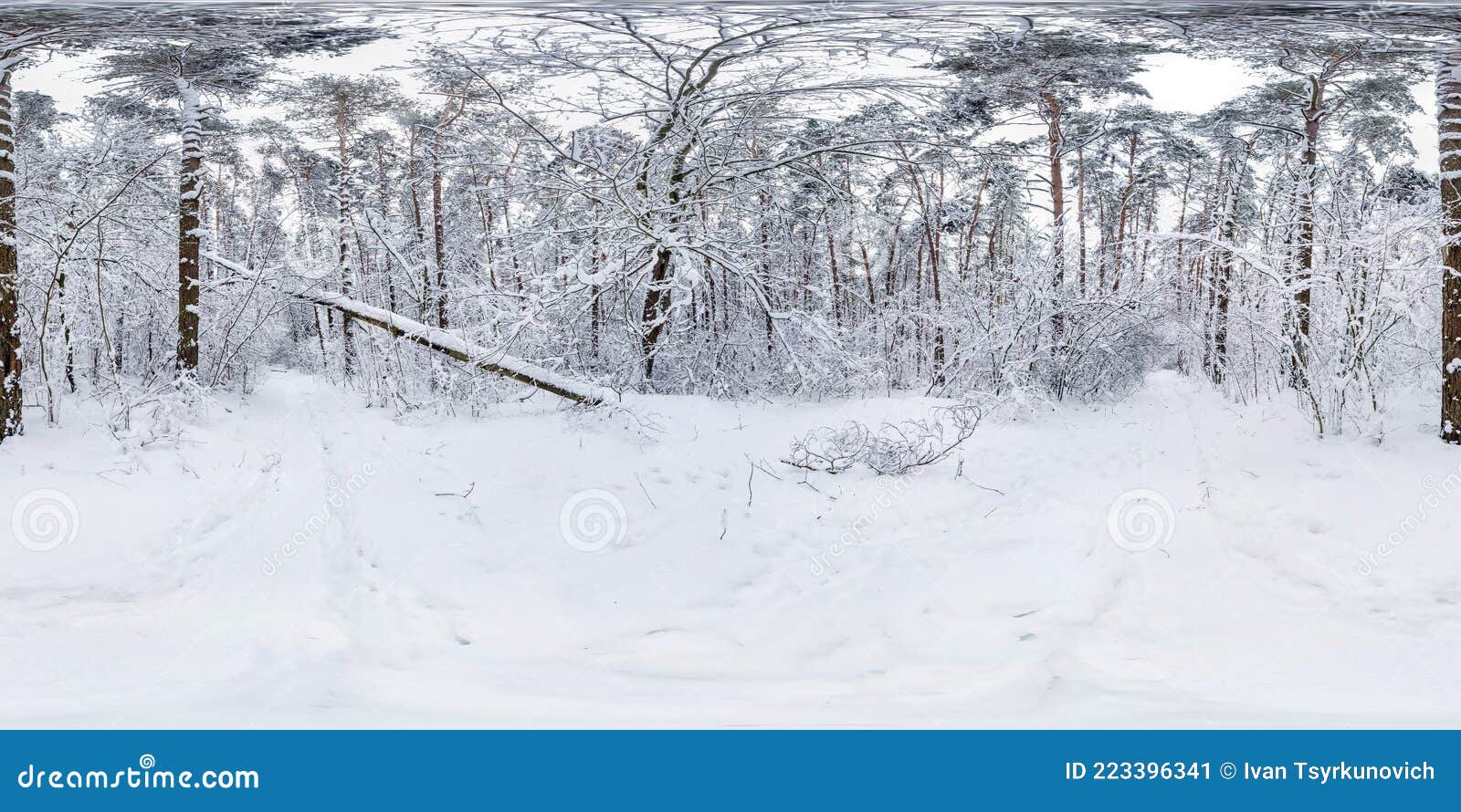 Winter Full Spherical Hdri Panorama 360 Degrees Angle View on Path in ...