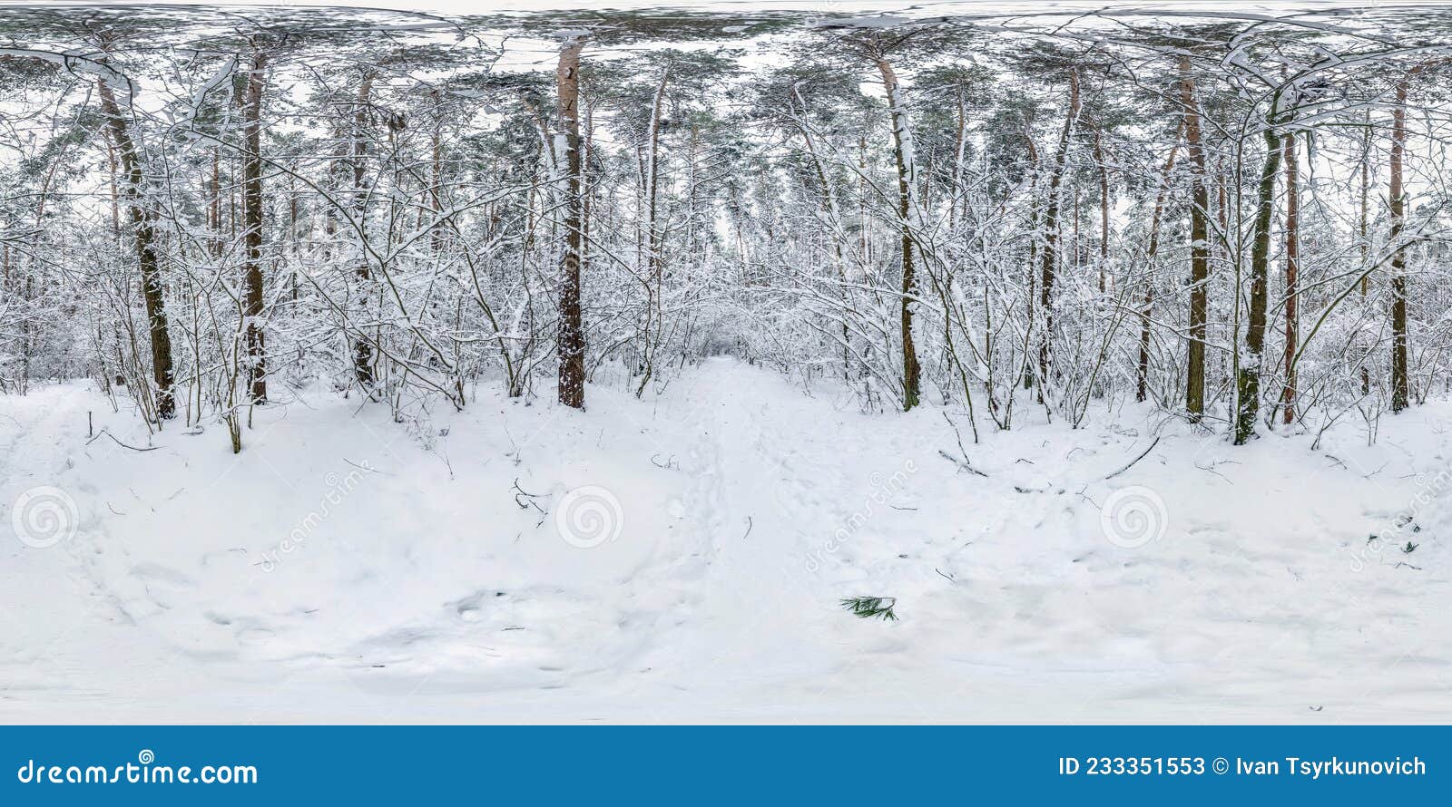 Winter Full Spherical Hdri Panorama 360 Degrees Angle View on Path in ...