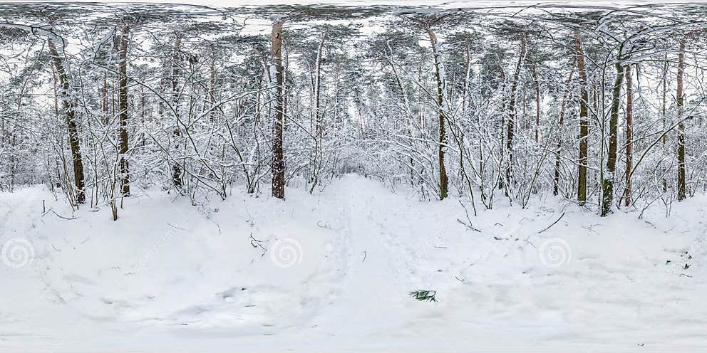 Winter Full Spherical Hdri Panorama 360 Degrees Angle View on Path in ...