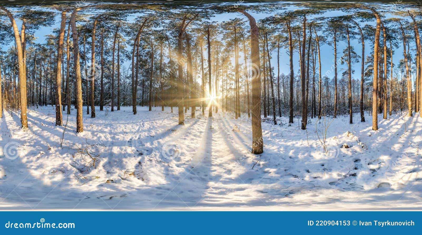 Winter Full Spherical Hdri Panorama 360 Degrees Angle View in Snowy ...