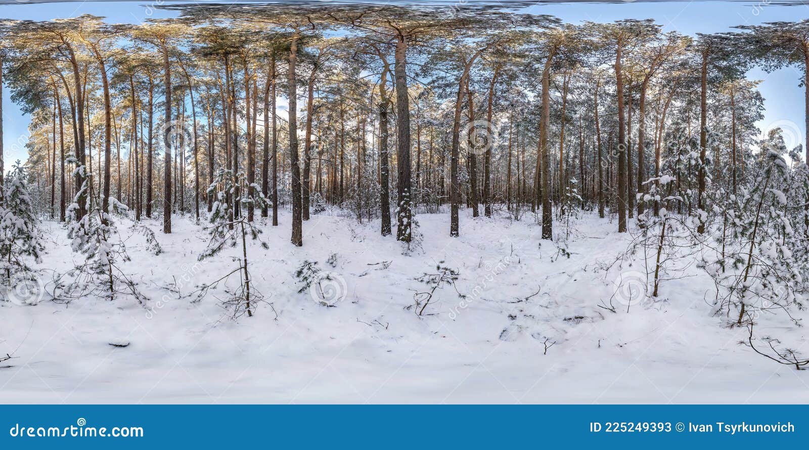 Winter Full Spherical Hdri Panorama 360 Degrees Angle View in Snowy ...