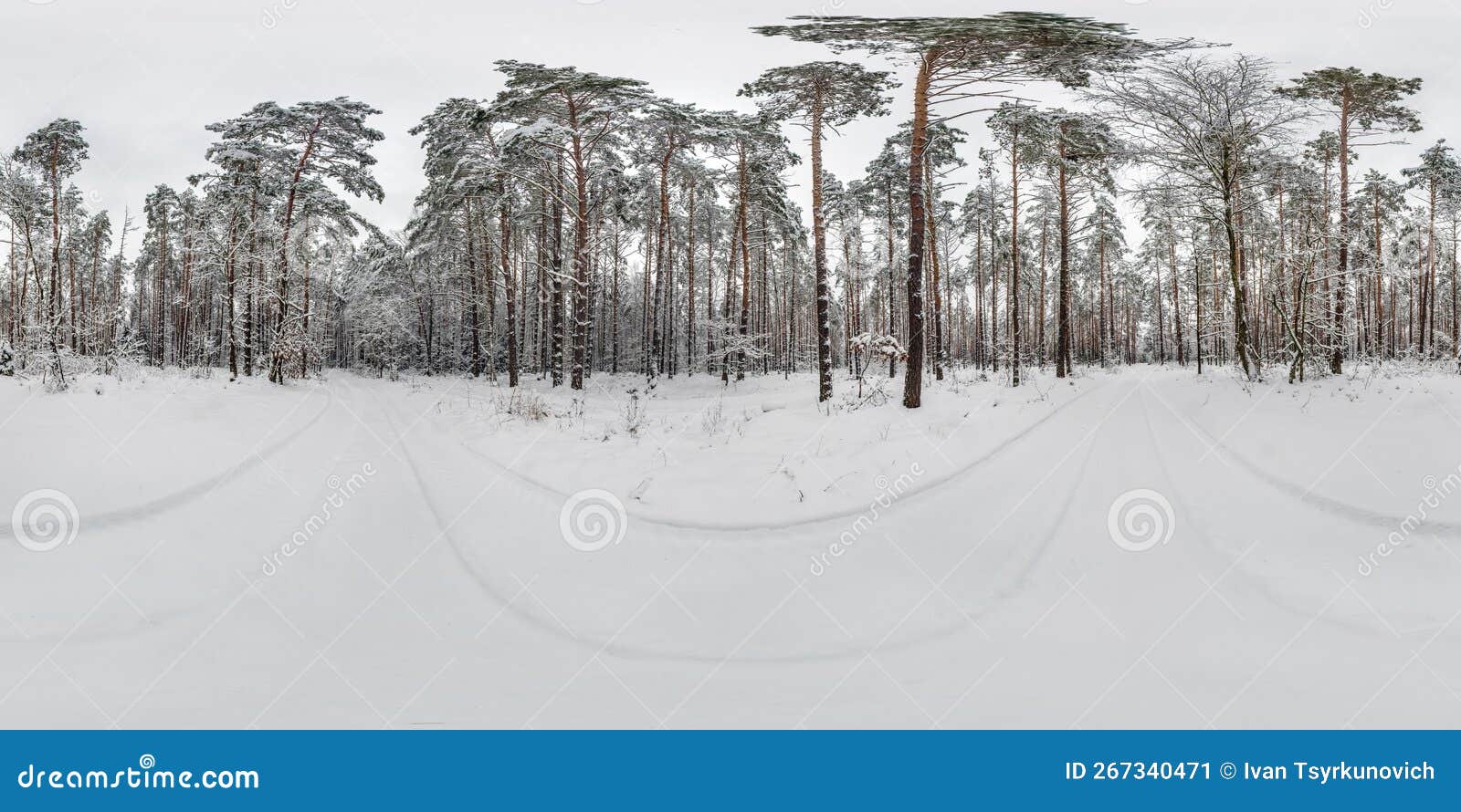 Winter Full Spherical Hdri Panorama 360 Degrees Angle View On Path In ...