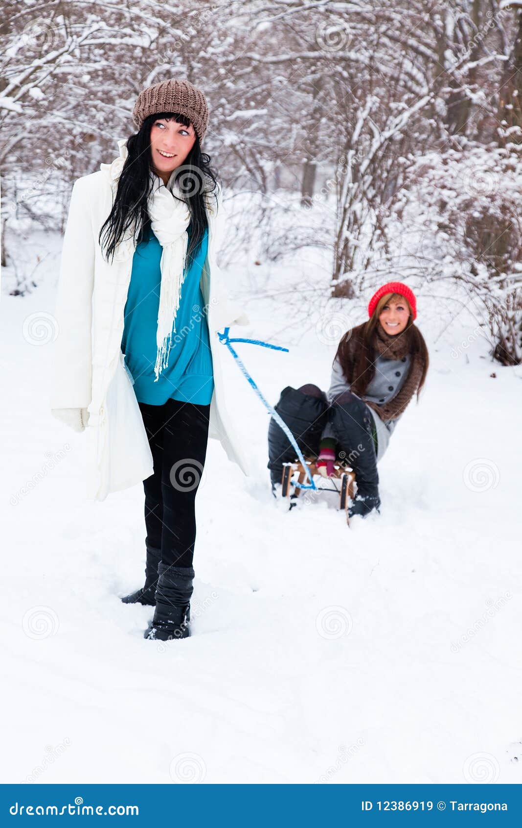 Winter fun stock image. Image of parents, leisure, lifestyle - 12386919