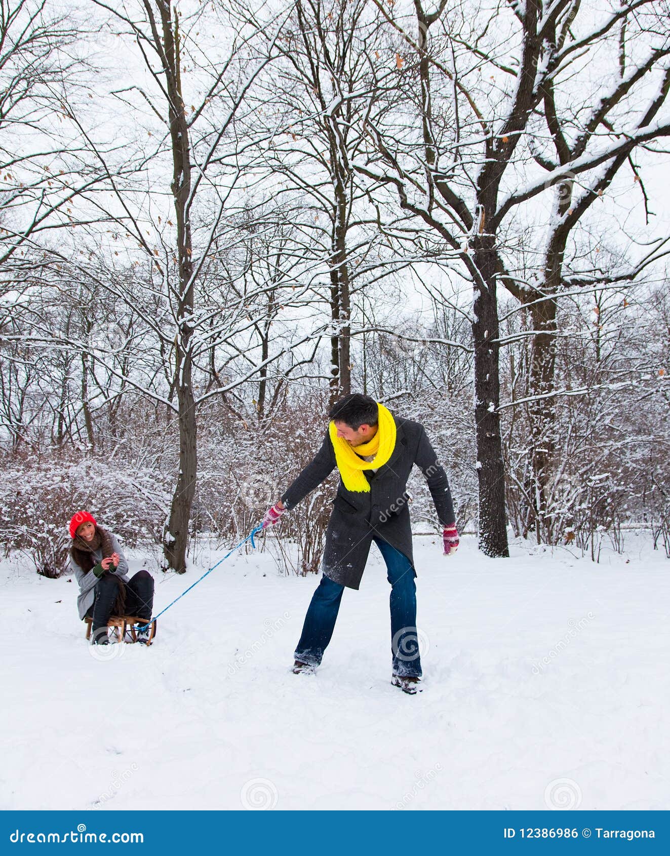 Winter fun stock photo. Image of beauty, fashion, adult - 12386986