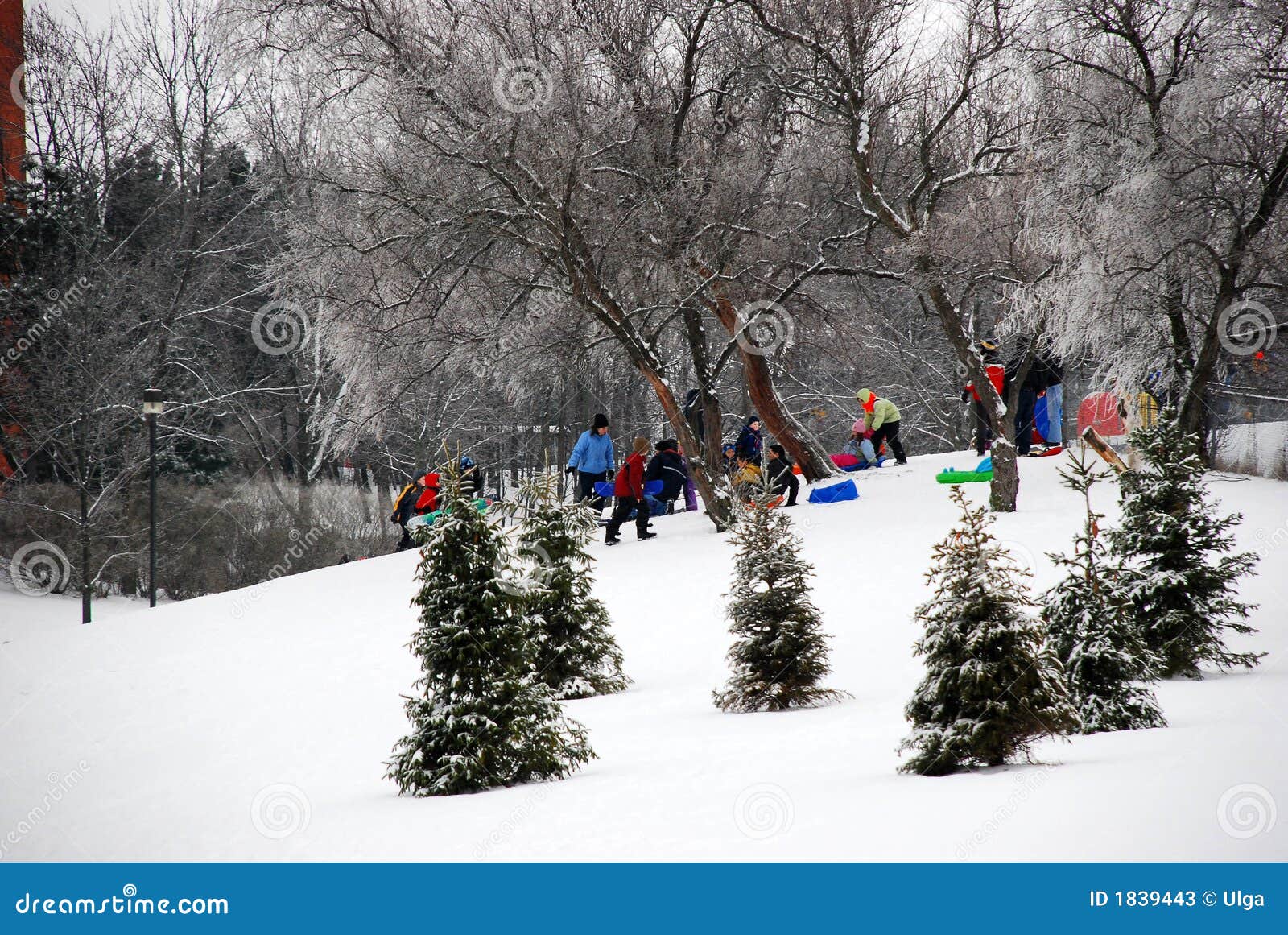 Winter fun stock image. Image of downhill, outside, blowing - 1839443