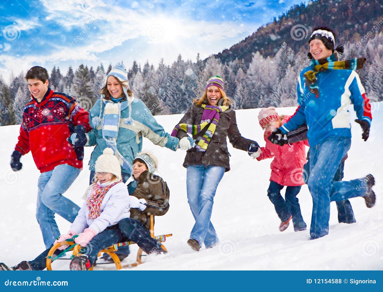 Winter fun 23 stock photo. Image of forest, friends, couple - 12154588