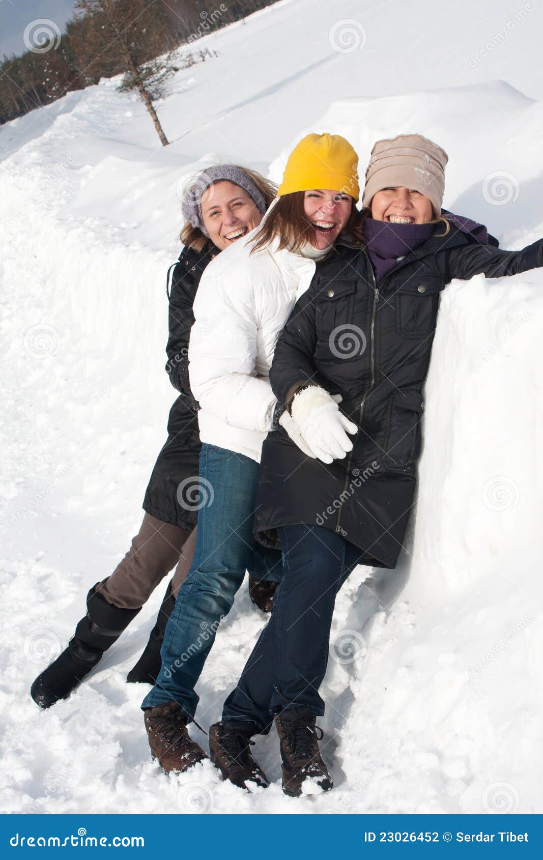 Winter Fun stock photo. Image of close, friends, person - 23026452