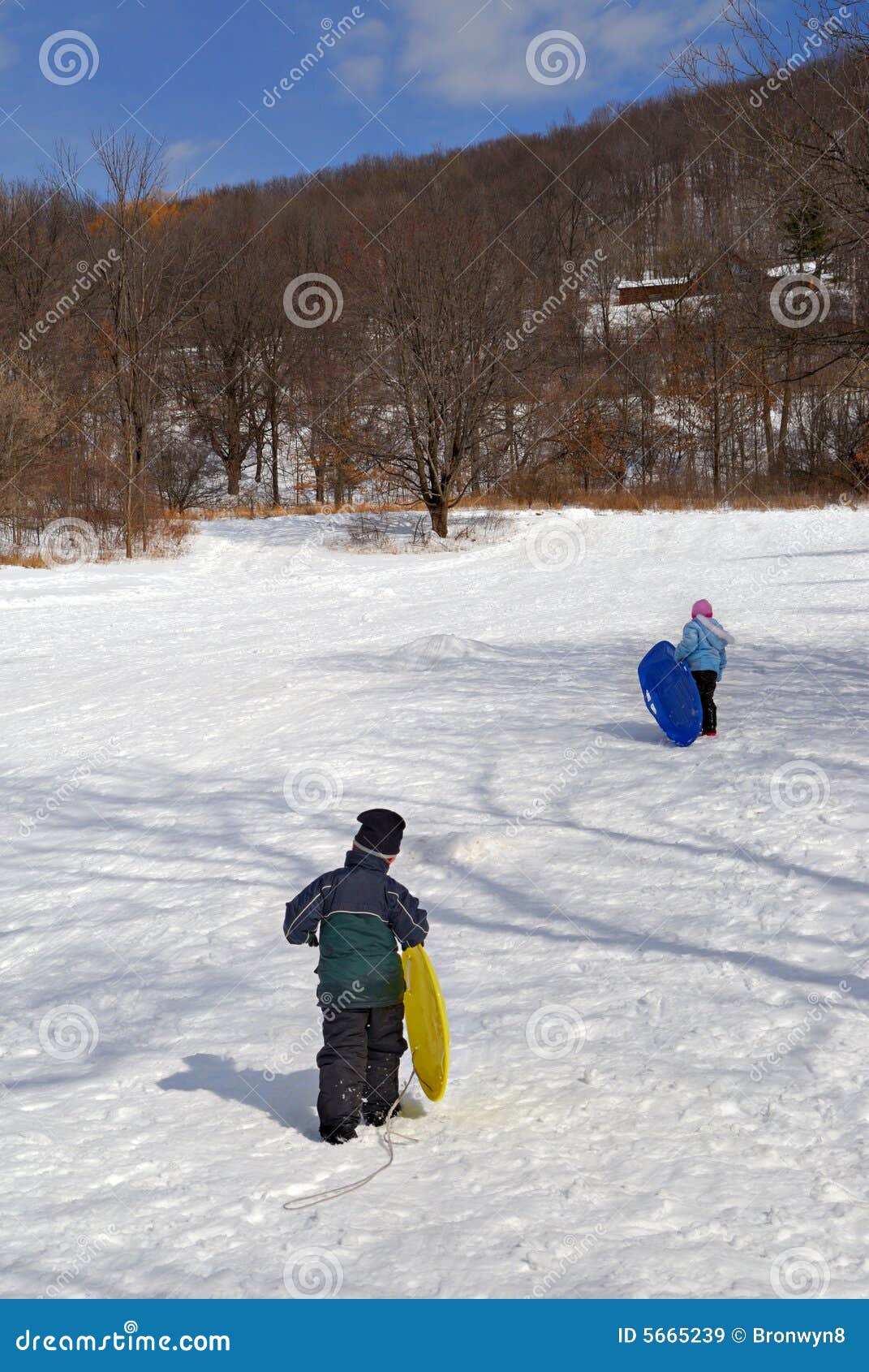 Winter Fun stock image. Image of winter, sledding, outdoors - 5665239