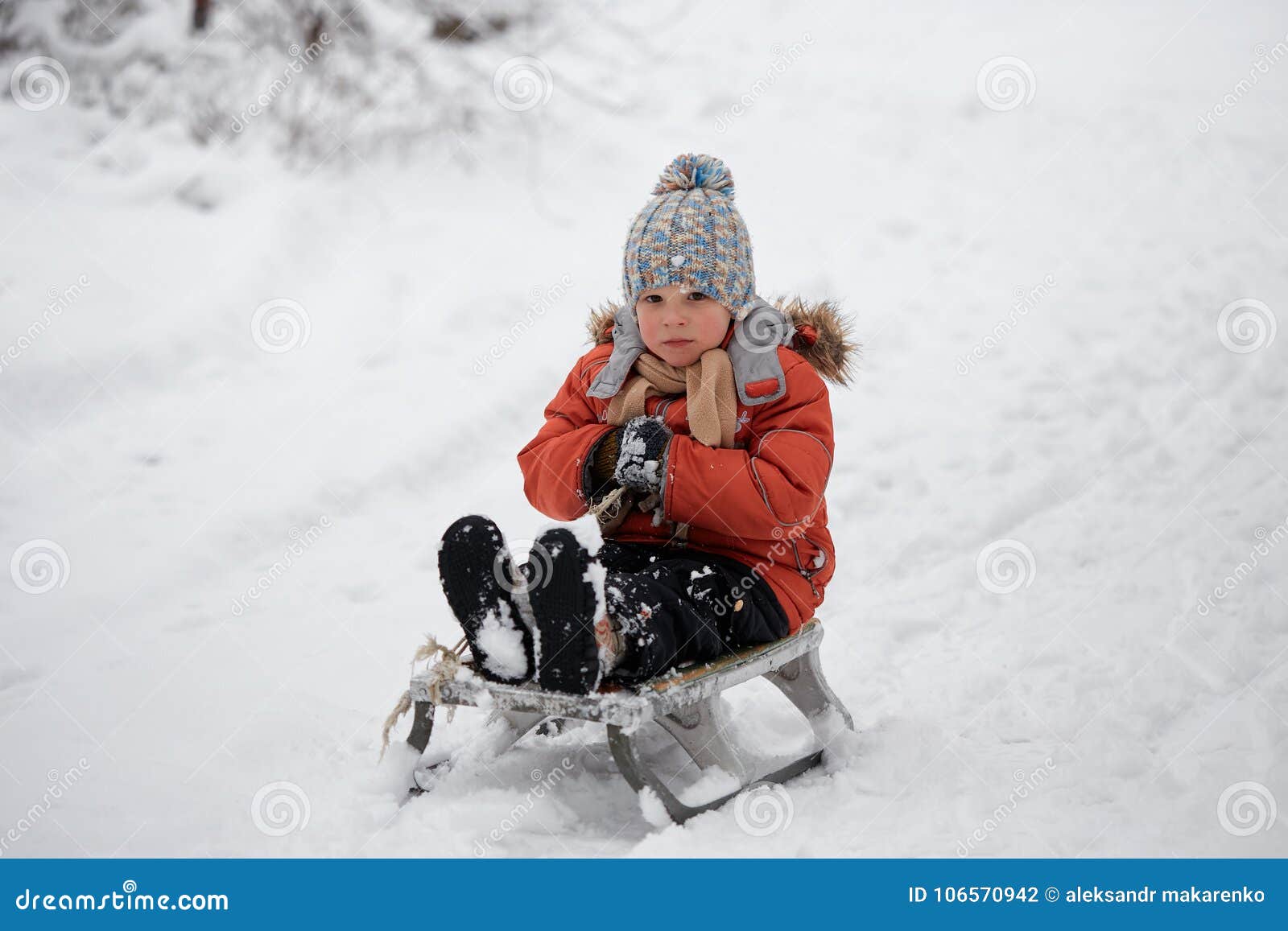 Winter Fun. the Boy is Riding a Sled. Stock Photo - Image of christmas ...