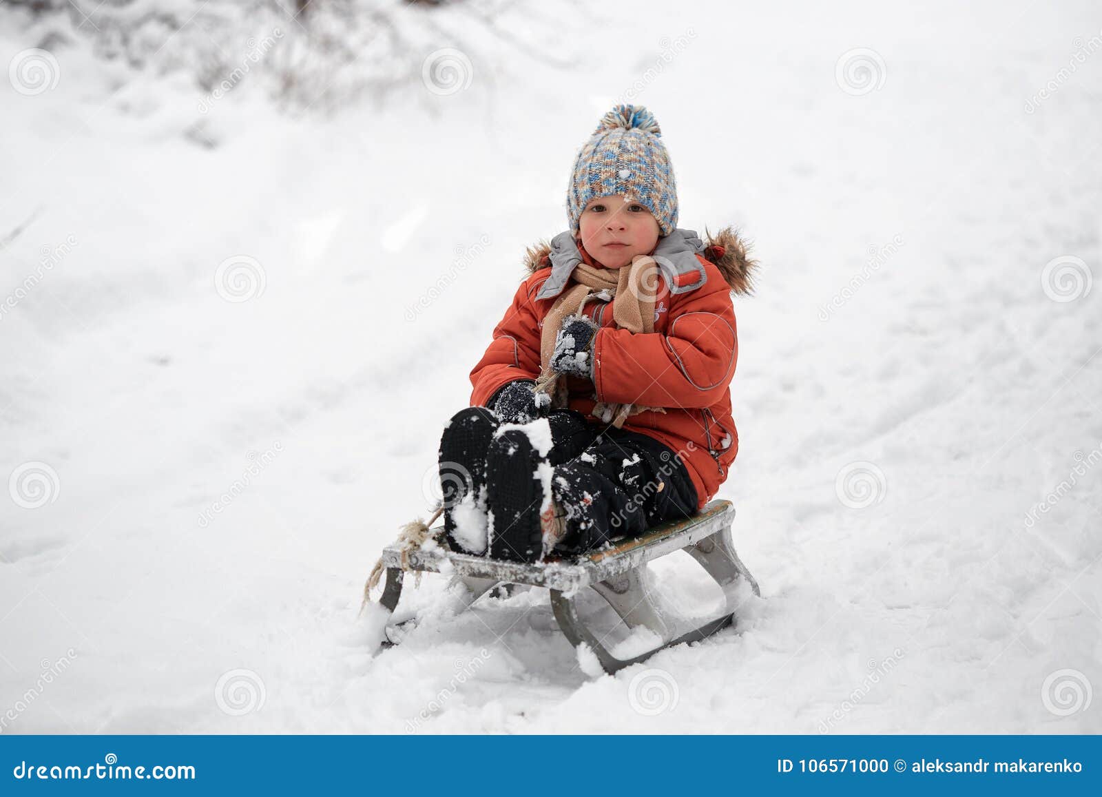 Winter Fun. the Boy is Riding a Sled. Stock Photo - Image of activity ...