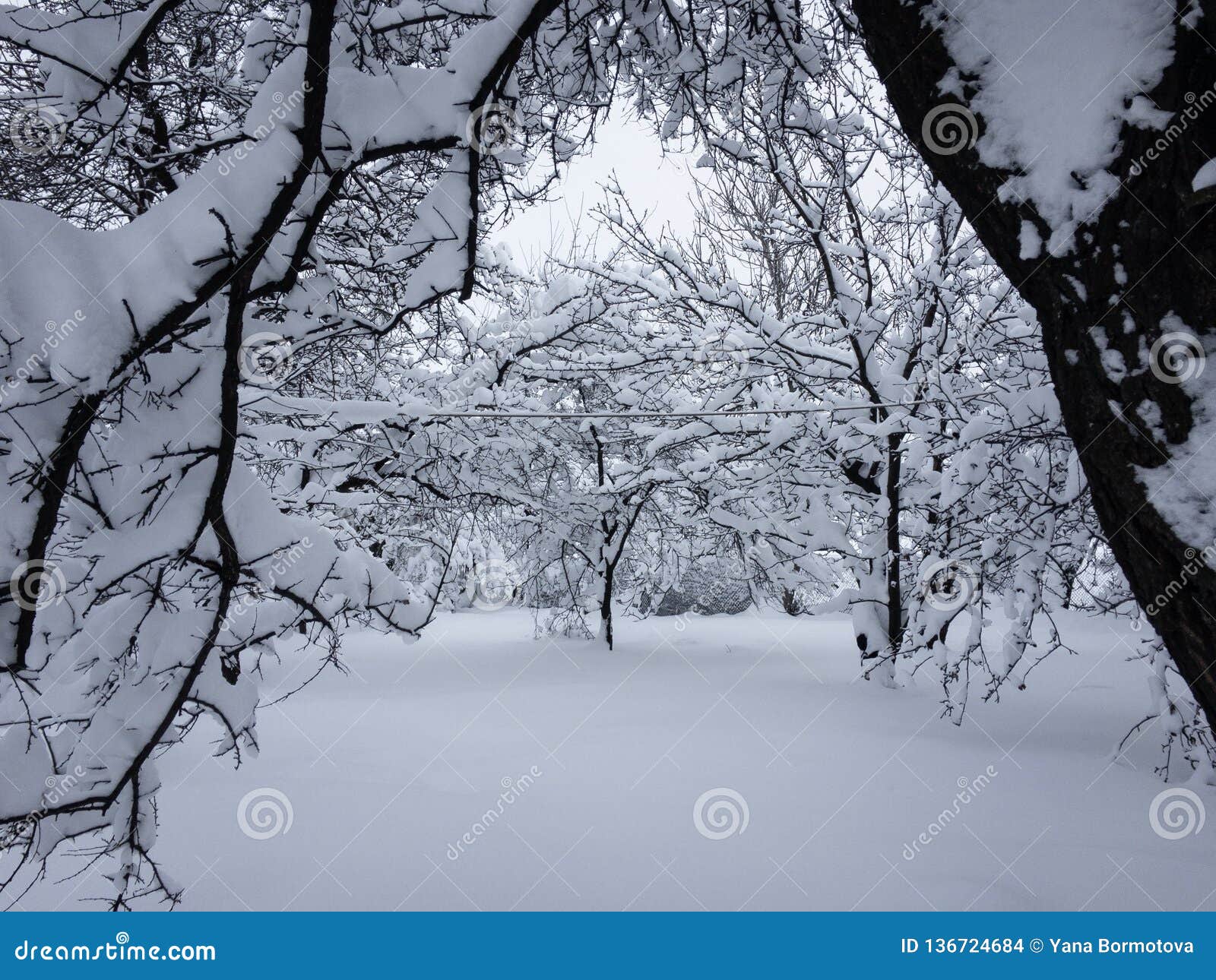 56,094 Winter Garden View Stock Photos - Free & Royalty-Free Stock ...