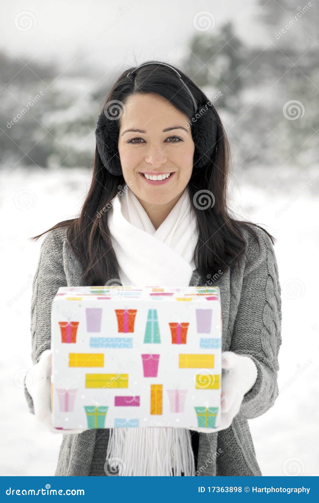 Winter gift stock photo. Image of present, cold, outside - 17363898