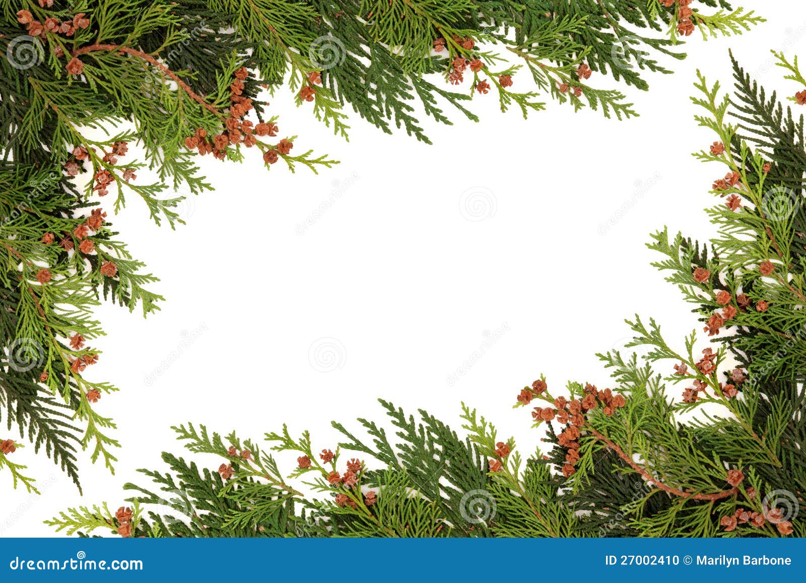 Winter Greenery Border stock photo. Image of decorative - 27002410