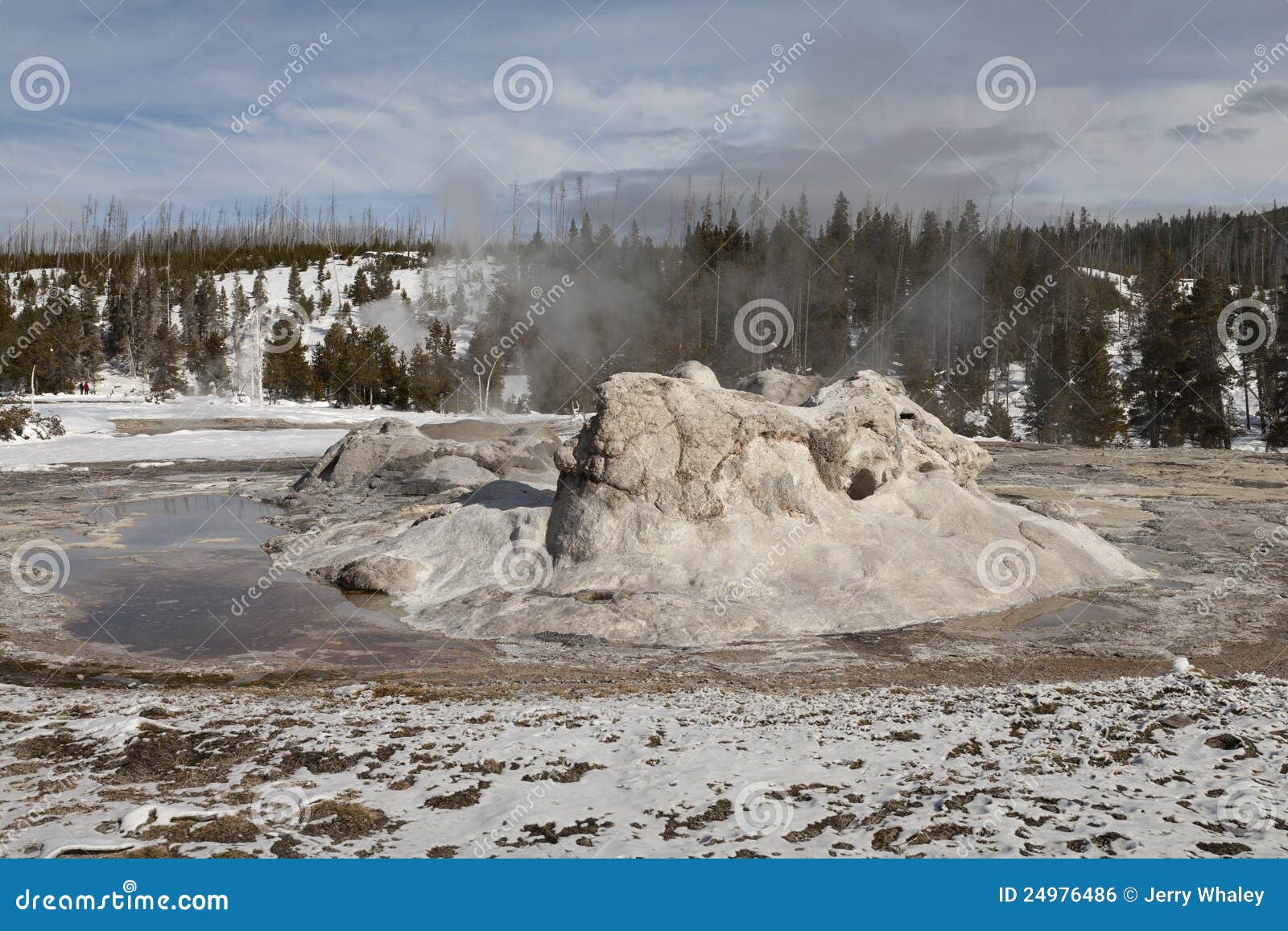 Winter, Grotto Geyser, Yellowstone NP Stock Photo - Image of national ...