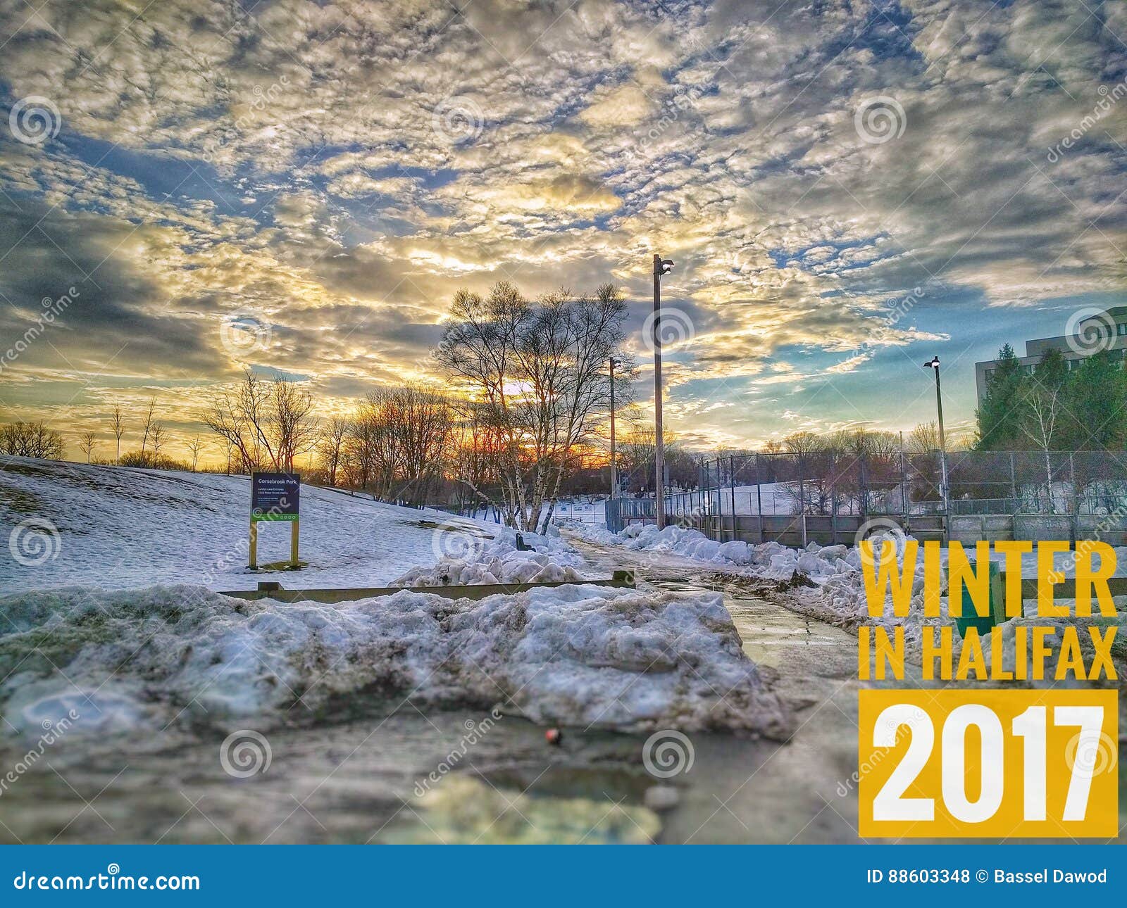 Winter in Halifax, Canada 2017 Stock Photo - Image of storm, canada ...