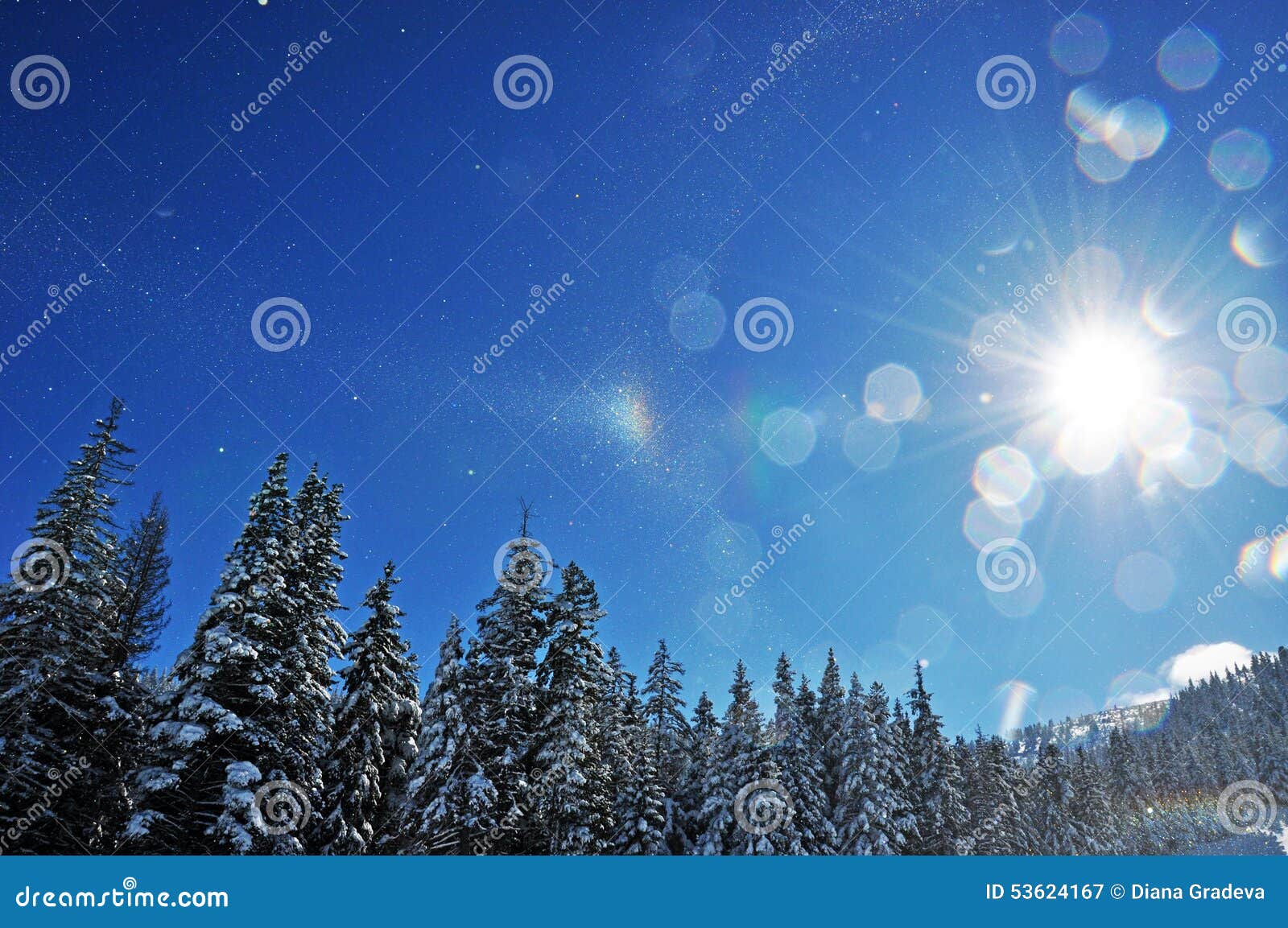 Winter Halo stock image. Image of landscape, nature, snow - 53624167