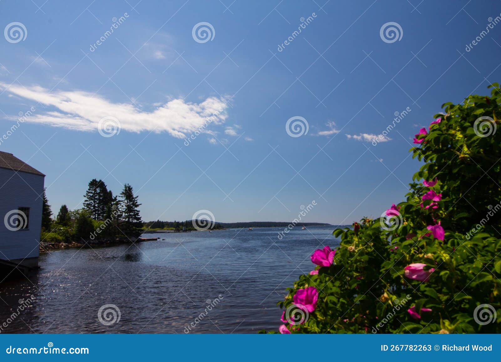 Winter Harbor, Maine in Summer Stock Image - Image of winter, northeast ...