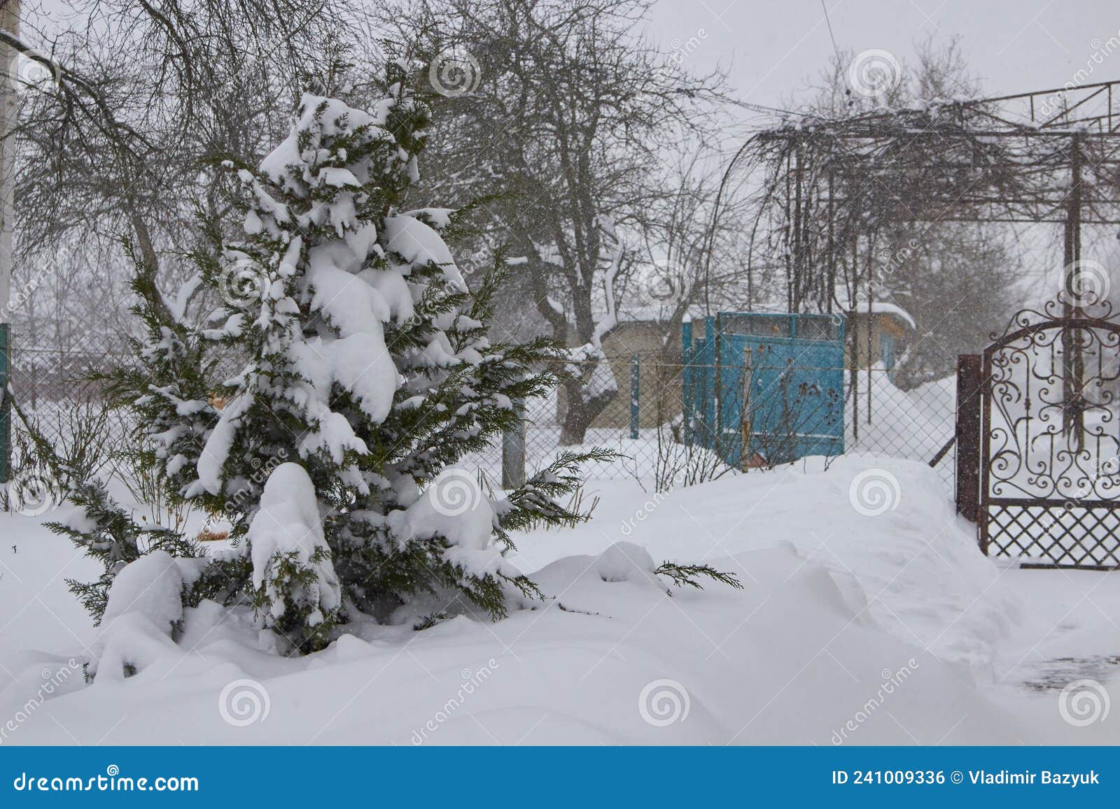 Winter is Harsh,winter Continues, Heavy Snowfall in the Village Stock ...