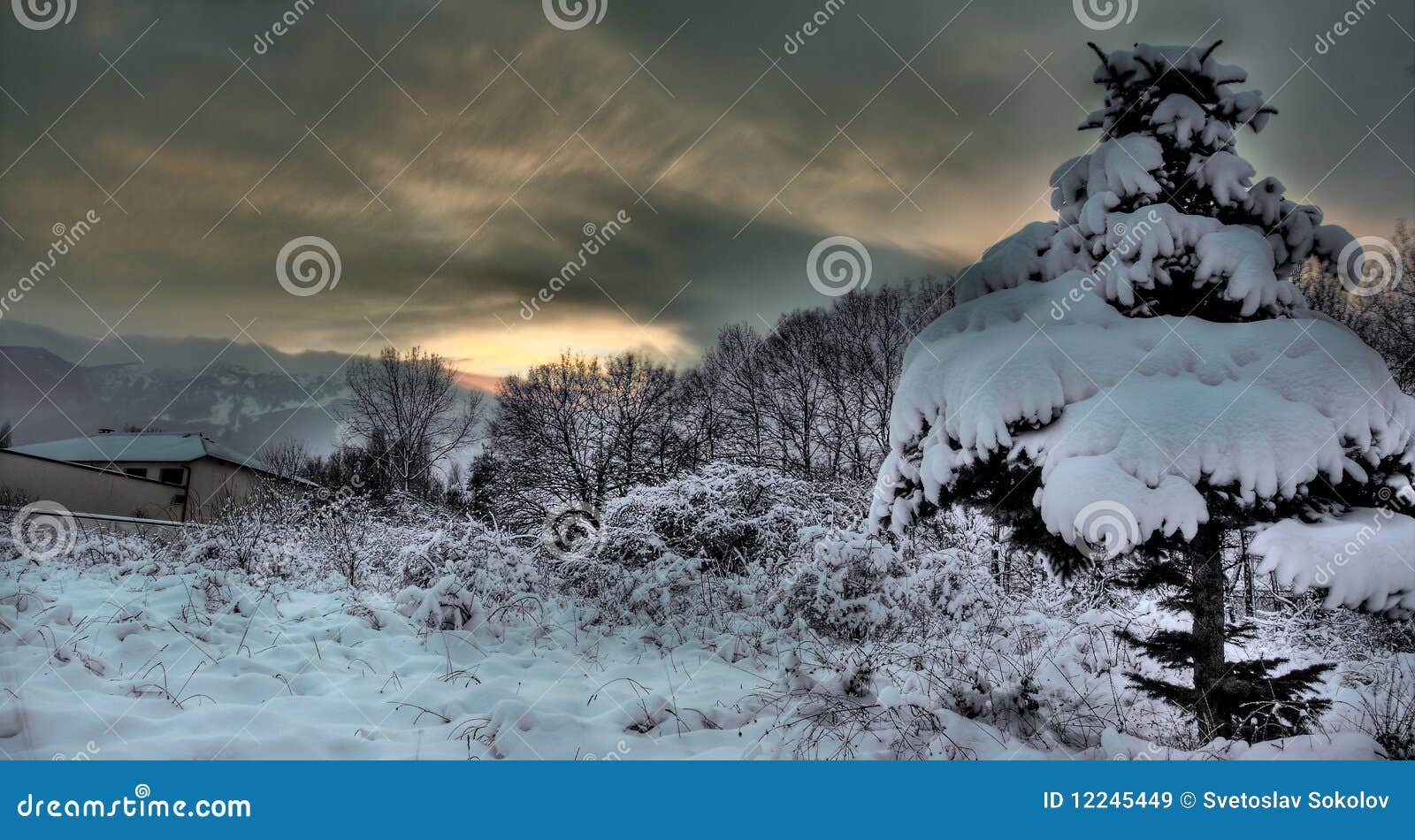Winter HDR stock image. Image of fireboll, scenic, frozen - 12245449