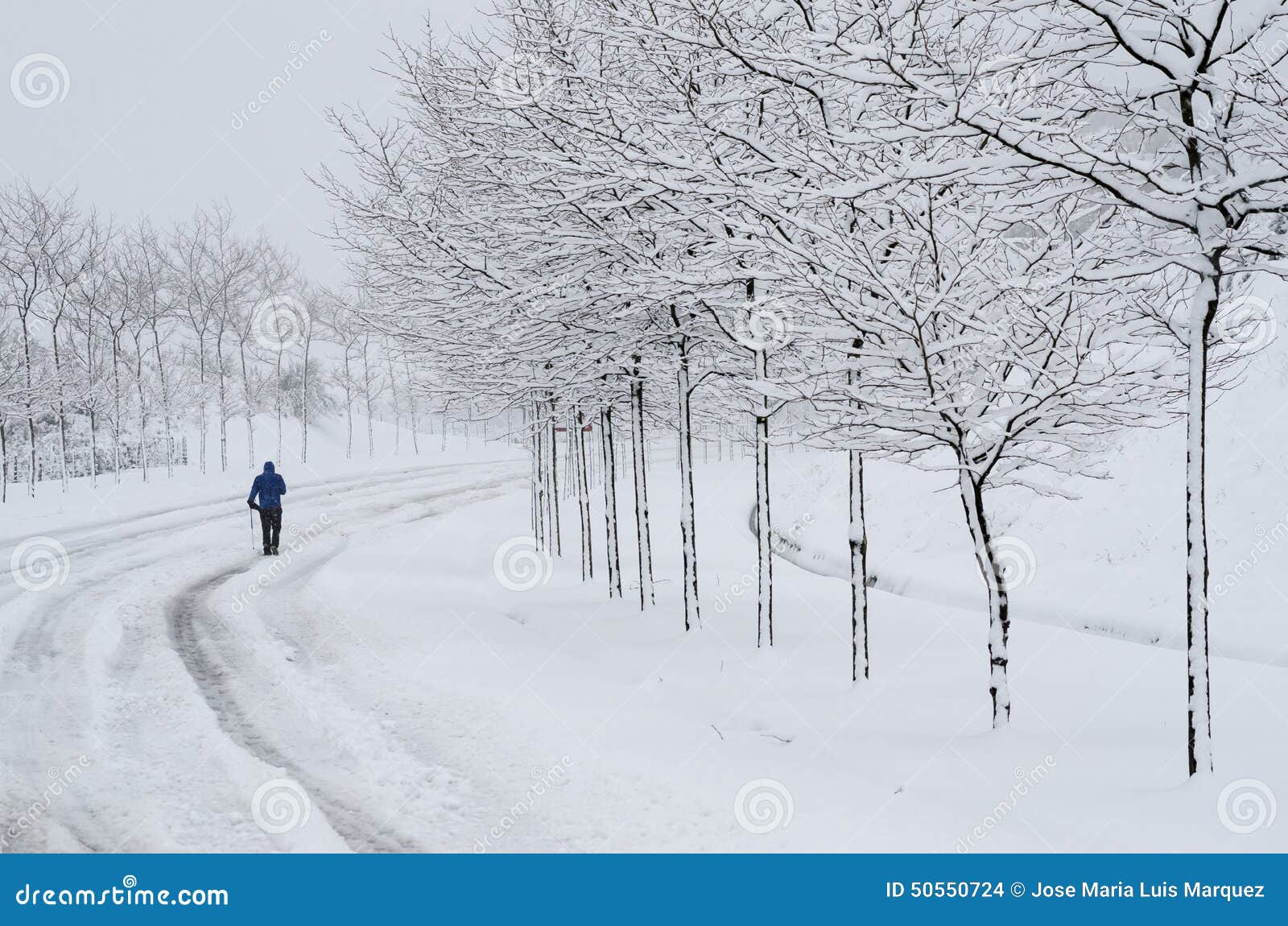 Winter stock photo. Image of season, frost, landscape - 50550724