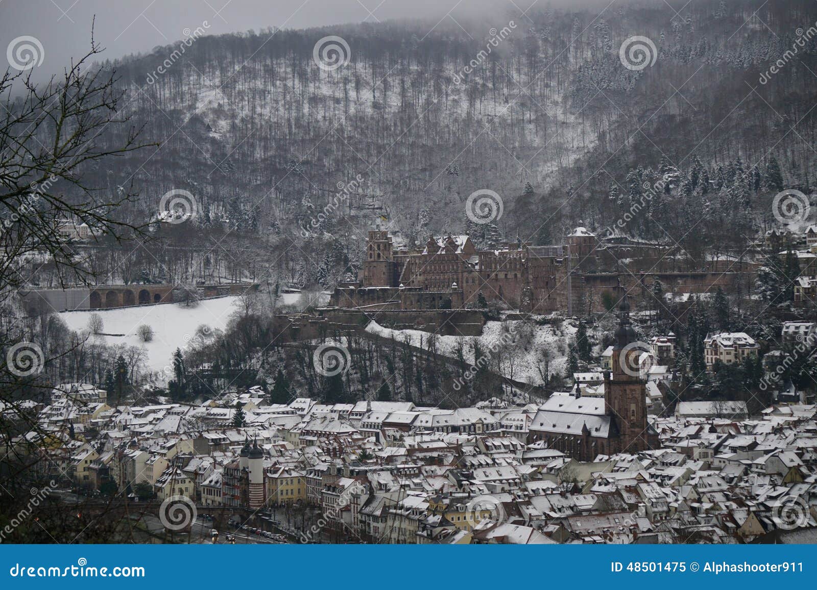 Winter in heidelberg stock image. Image of neckar, city - 48501475
