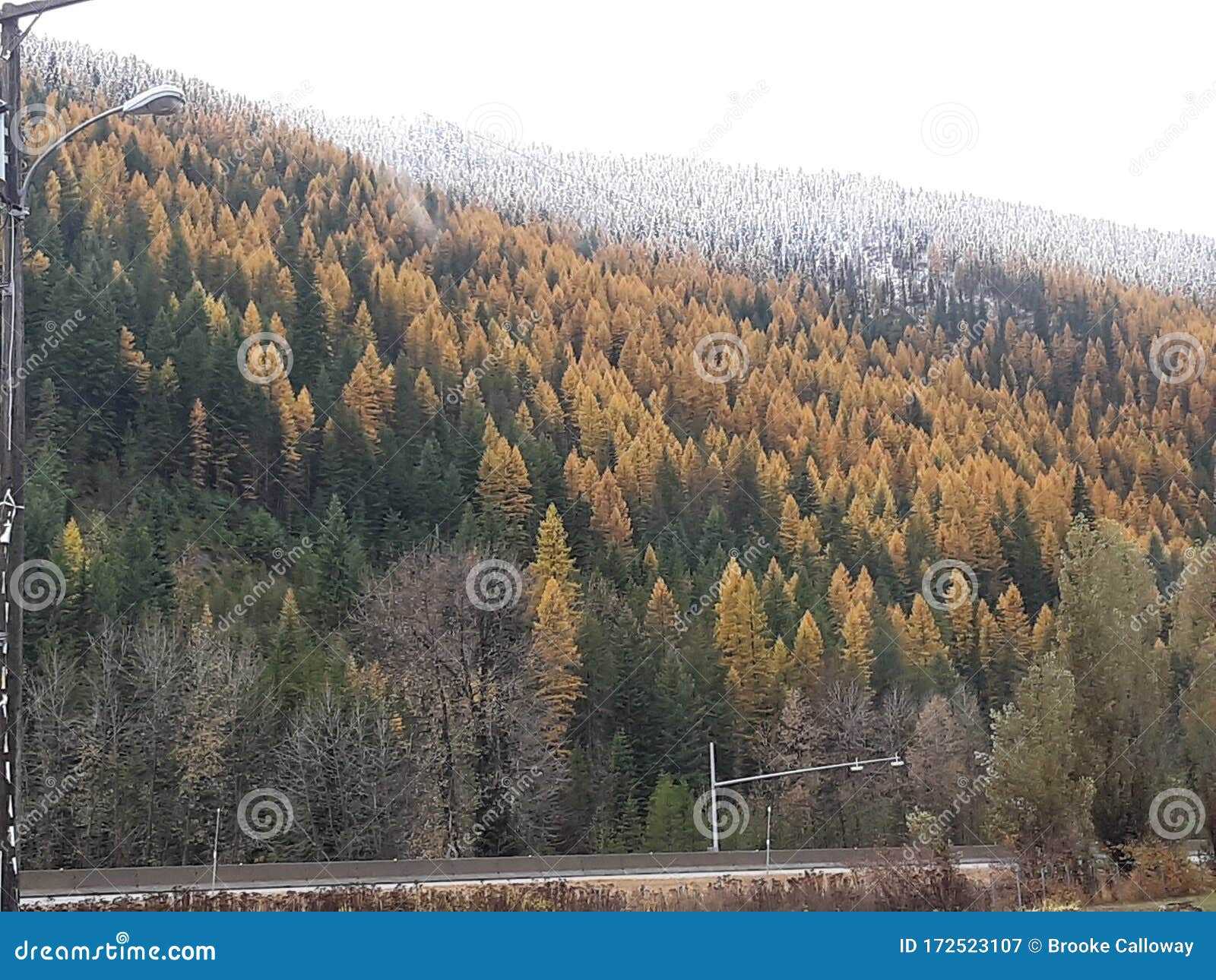 Saltese Stock Photos - Free & Royalty-Free Stock Photos from Dreamstime