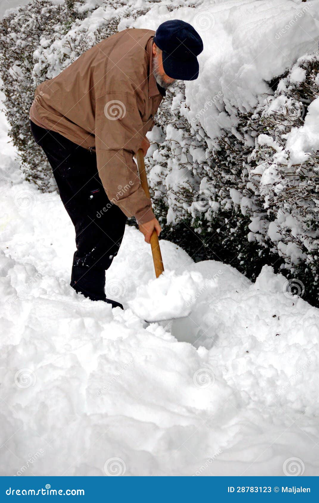 Winter with high snow stock image. Image of clearing - 28783123