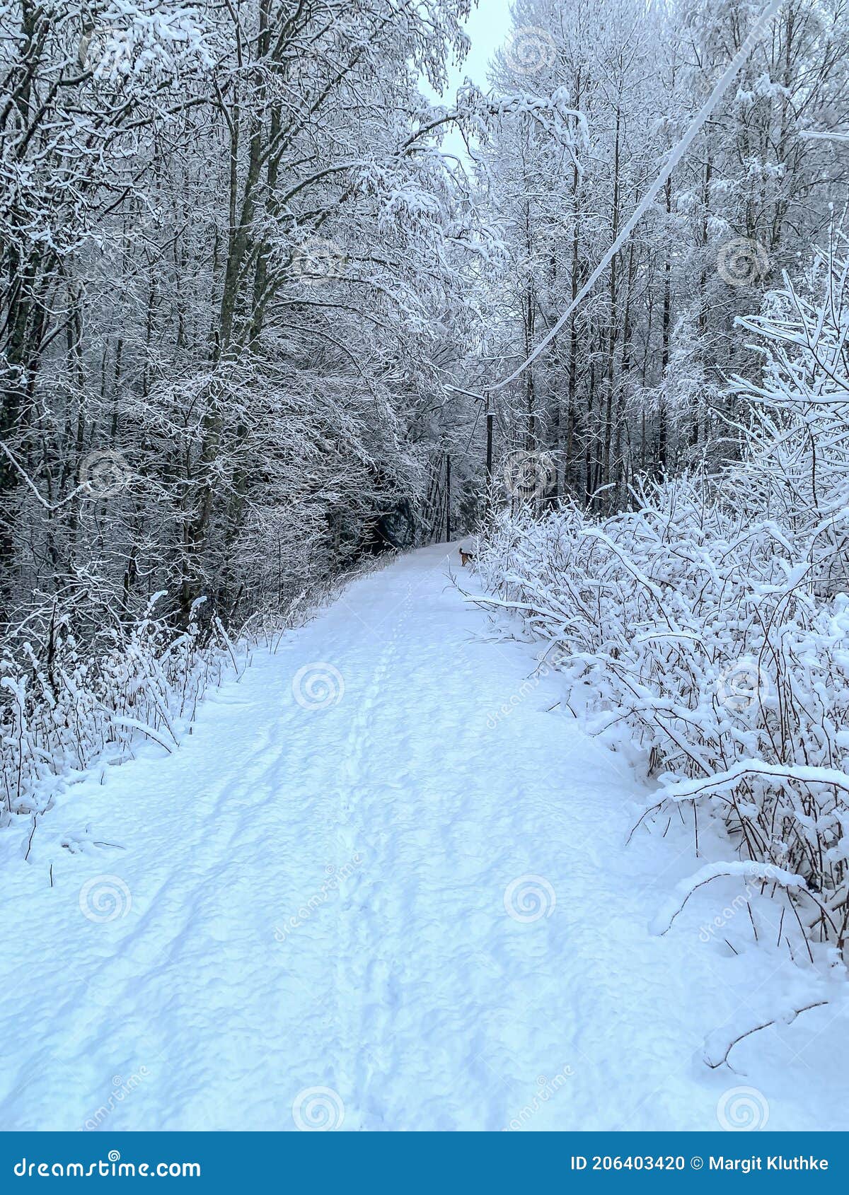 Winter with High Snow in the Solitude of Sweden Stock Photo - Image of ...