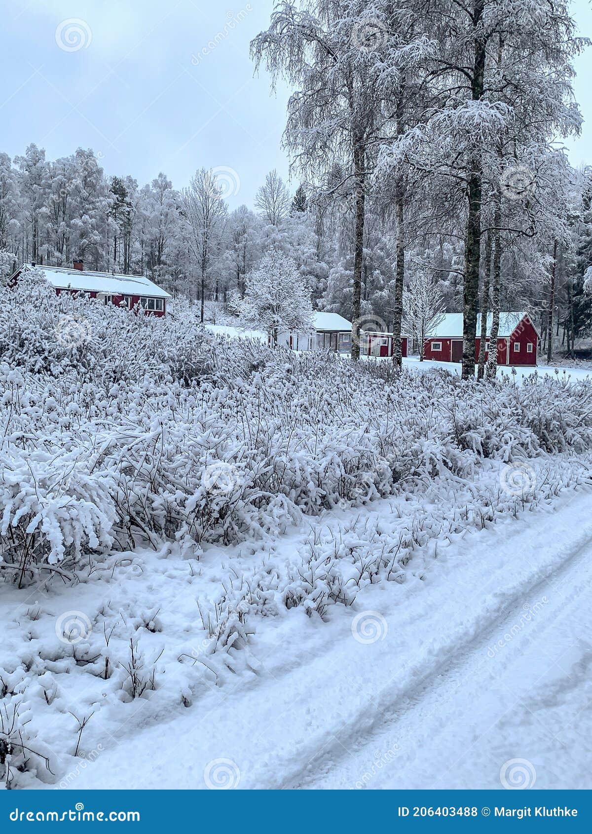 Winter with High Snow in the Solitude of Sweden Stock Photo - Image of ...