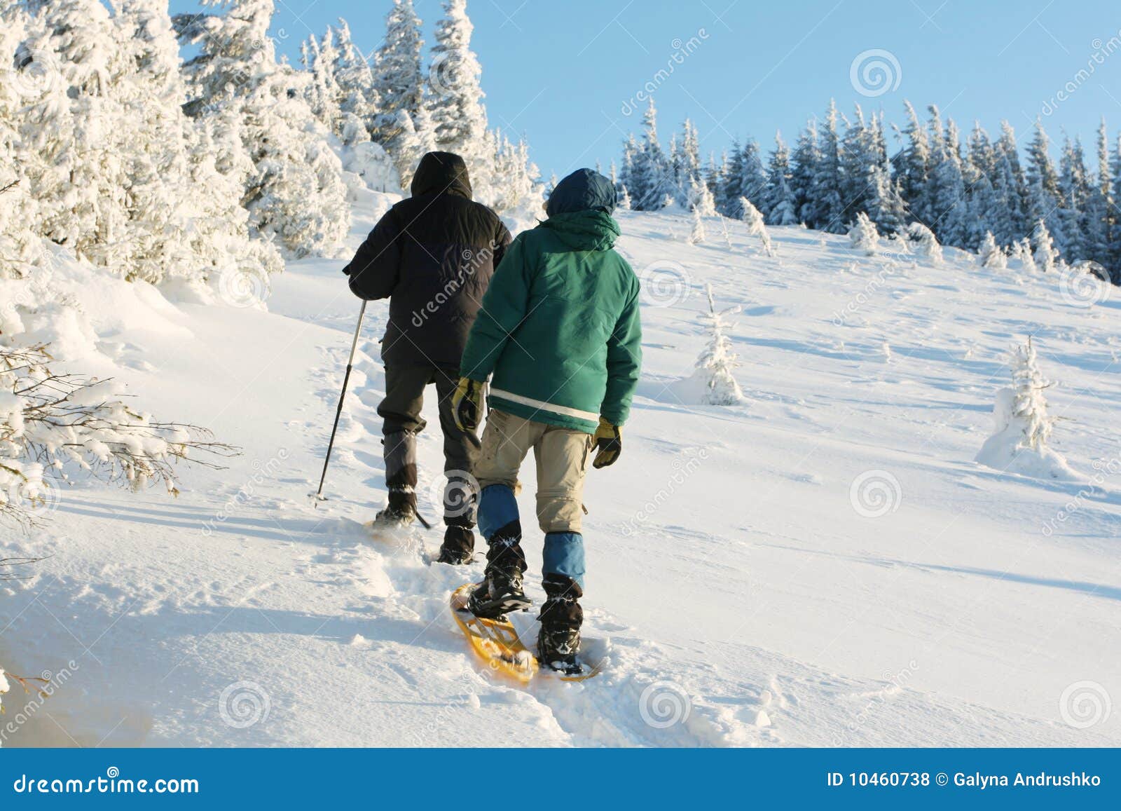 Winter hike stock photo. Image of outdoor, mountain, trekking - 10460738