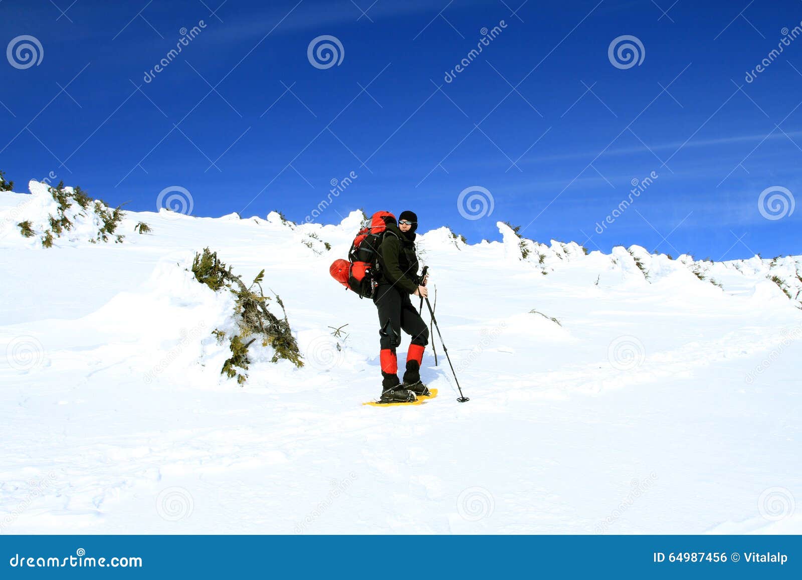 Winter Hiking in the Mountains on Snowshoes with a Backpack and Tent ...