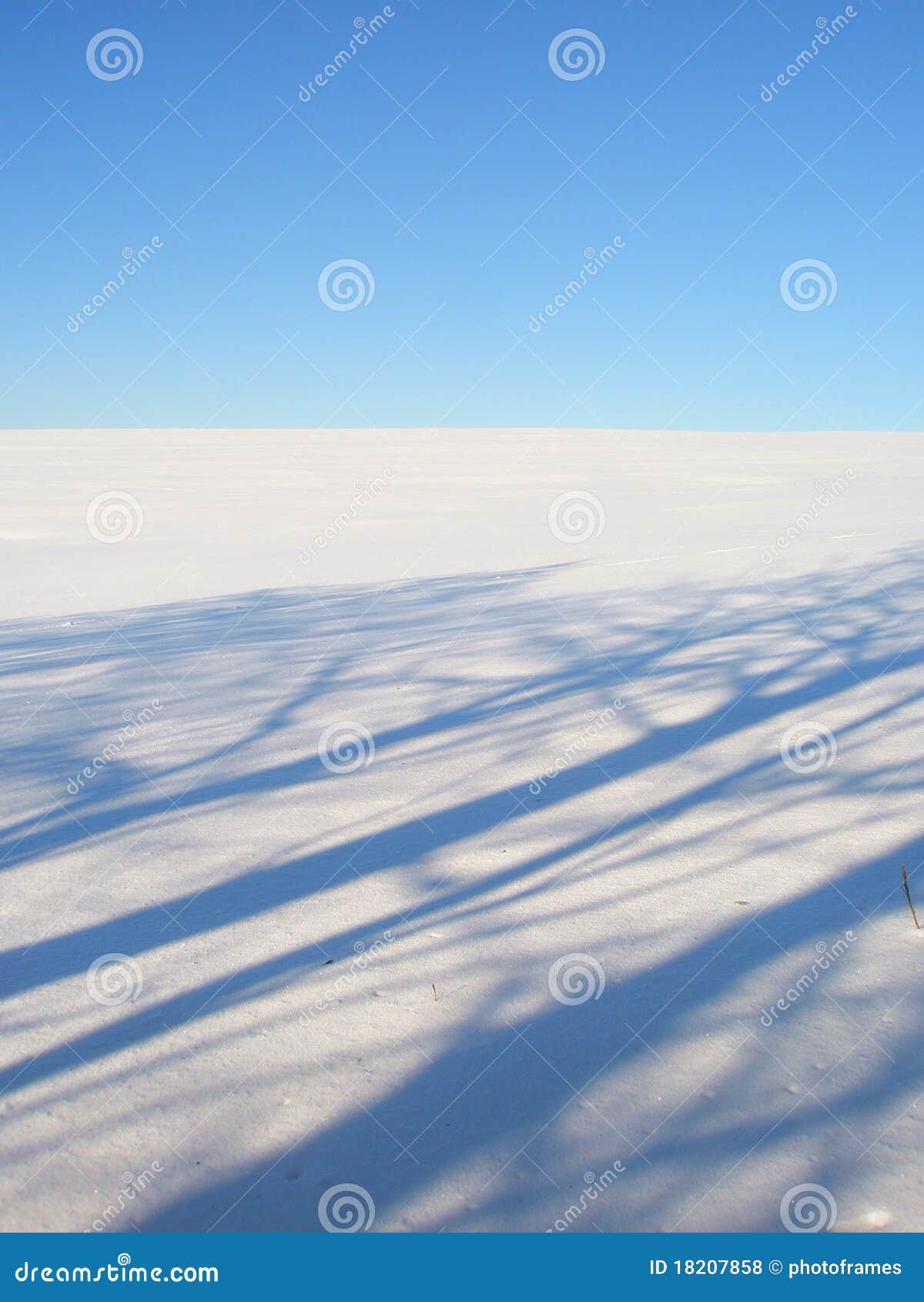 Winter Horizon Background Trees Shadows Stock Photo - Image of frame ...