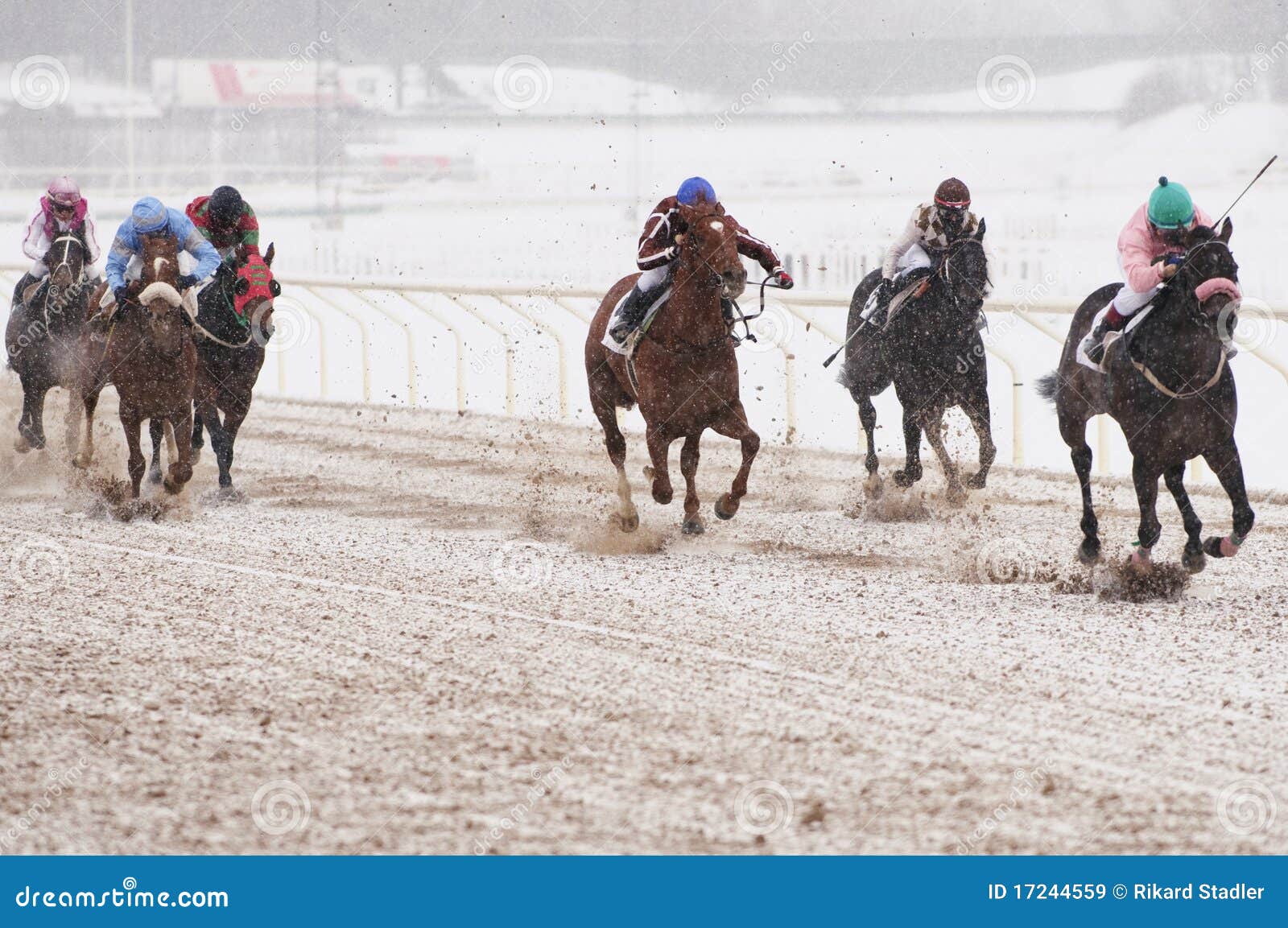 Winter horse racing stock image. Image of horseracing - 17244559