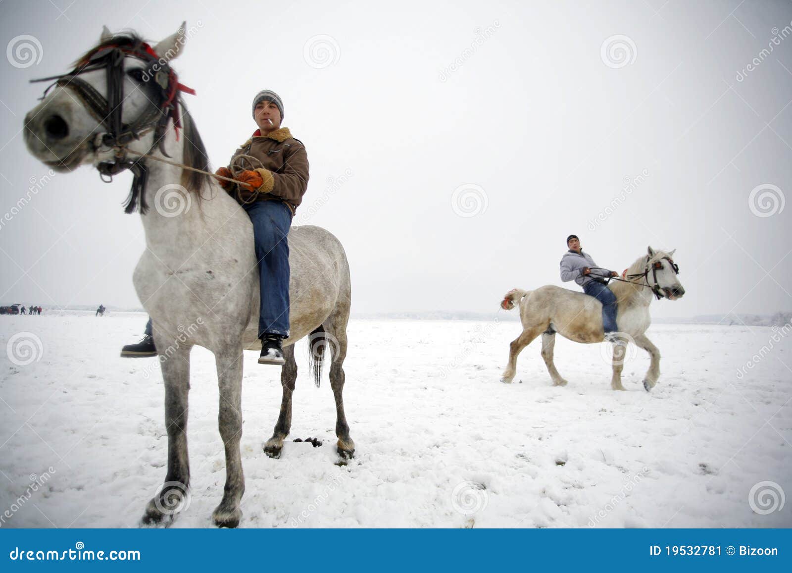 Winter horse riding editorial photo. Image of beauty - 19532781