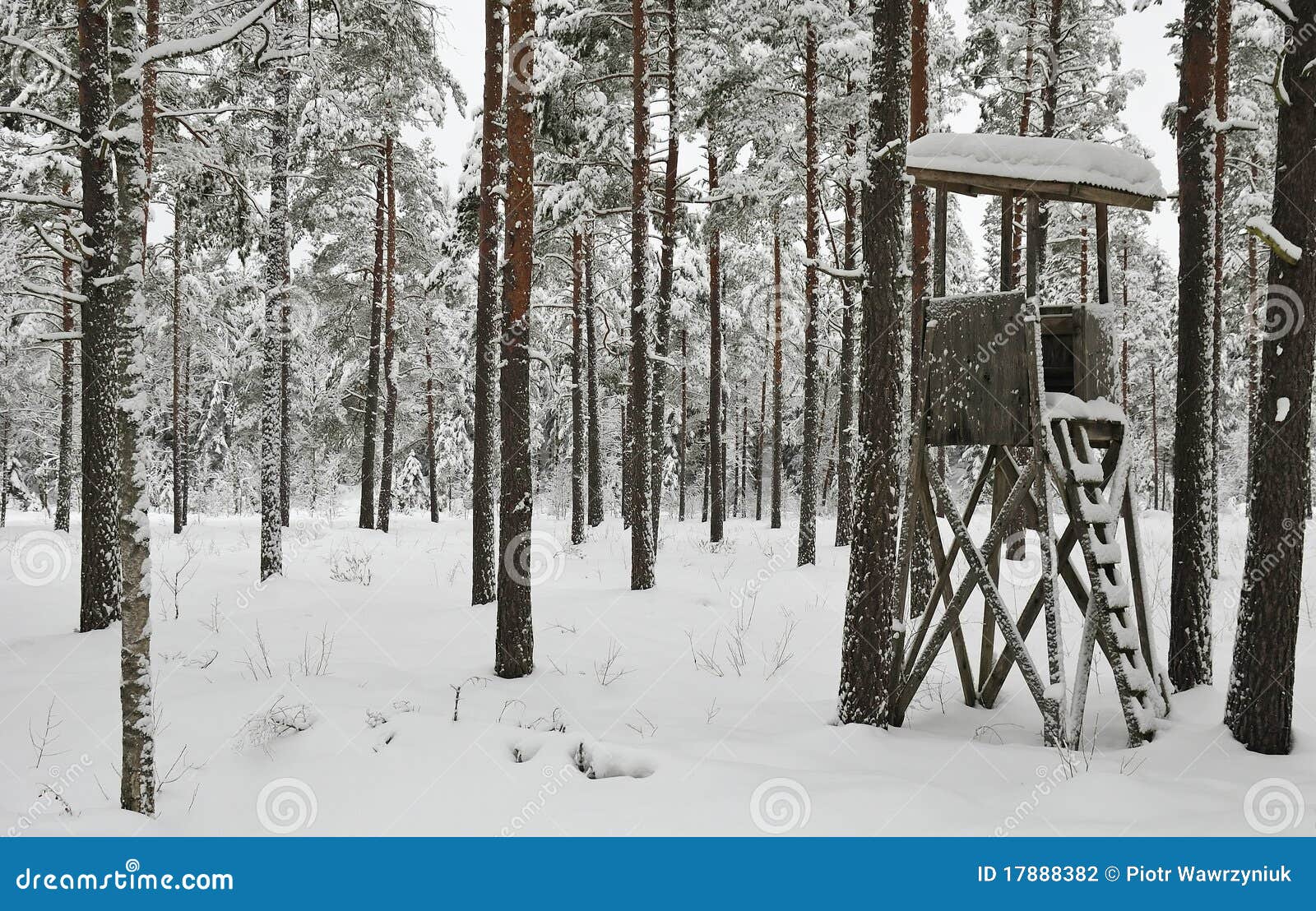 Winter hunting stock photo. Image of building, environment - 17888382