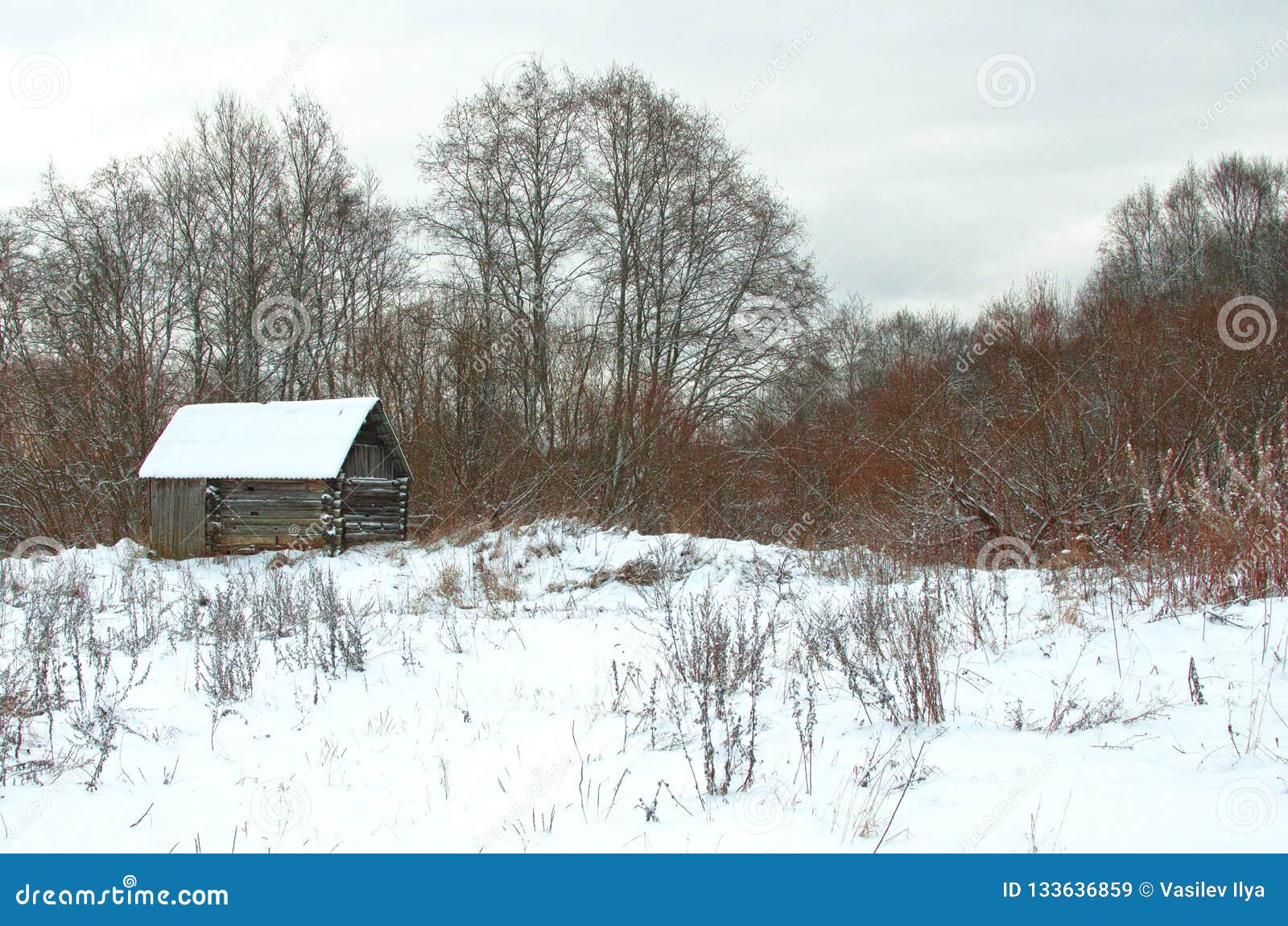Winter Hunting Hut in the Forest Stock Image - Image of cabin, scene ...
