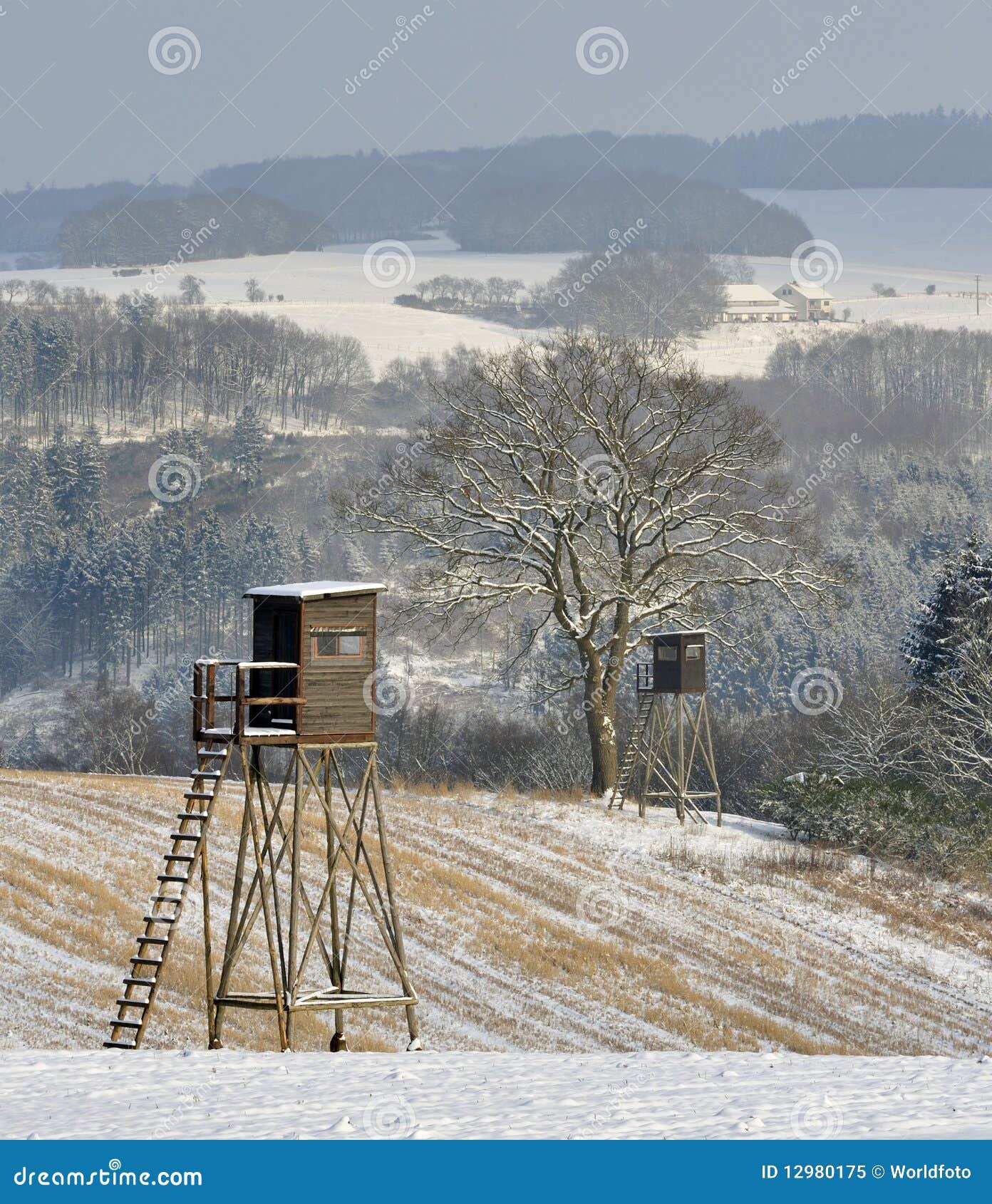 Winter hunting scene stock image. Image of snowscape - 12980175
