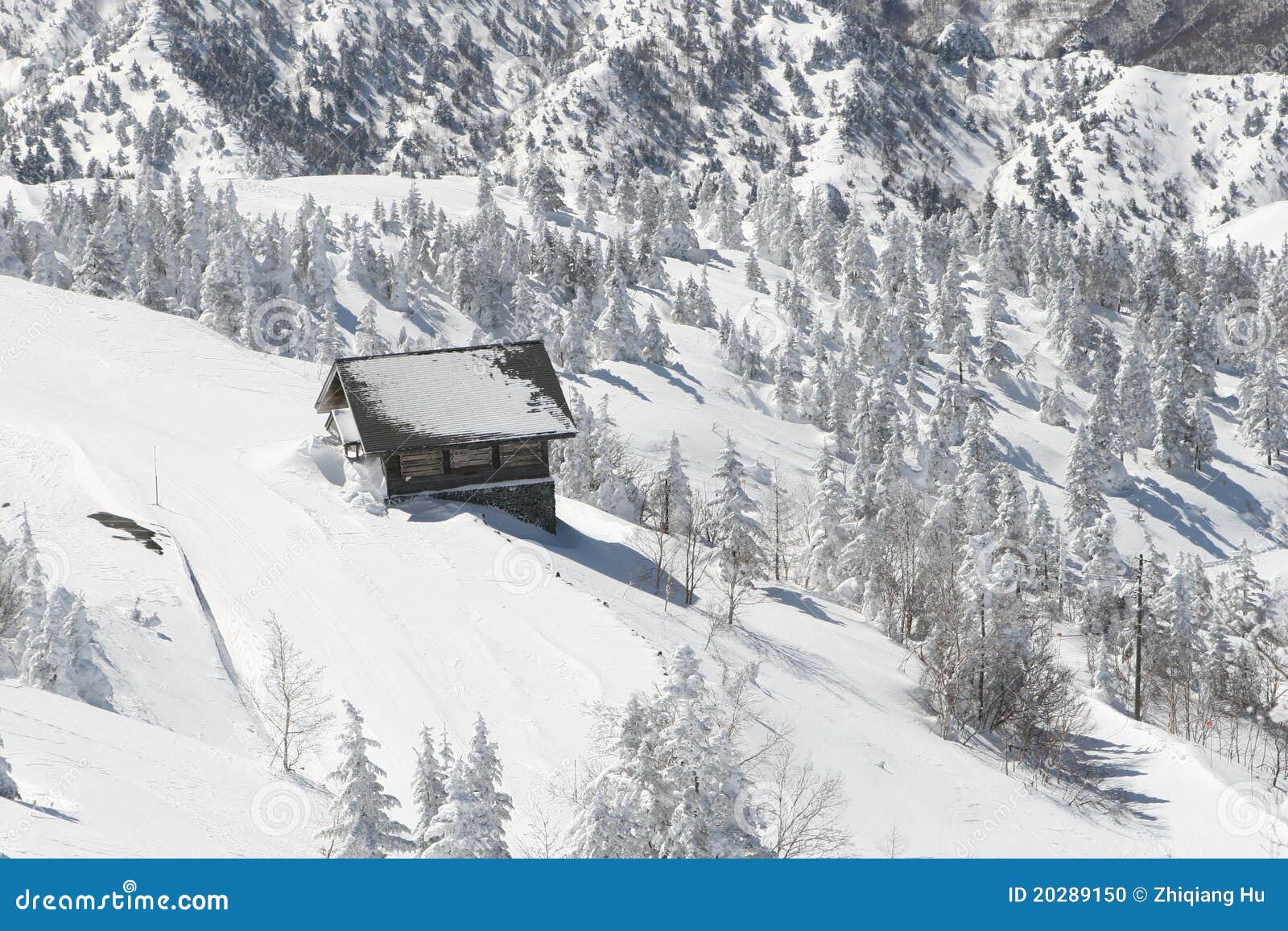 Winter hut stock photo. Image of january, copy, lodge - 20289150