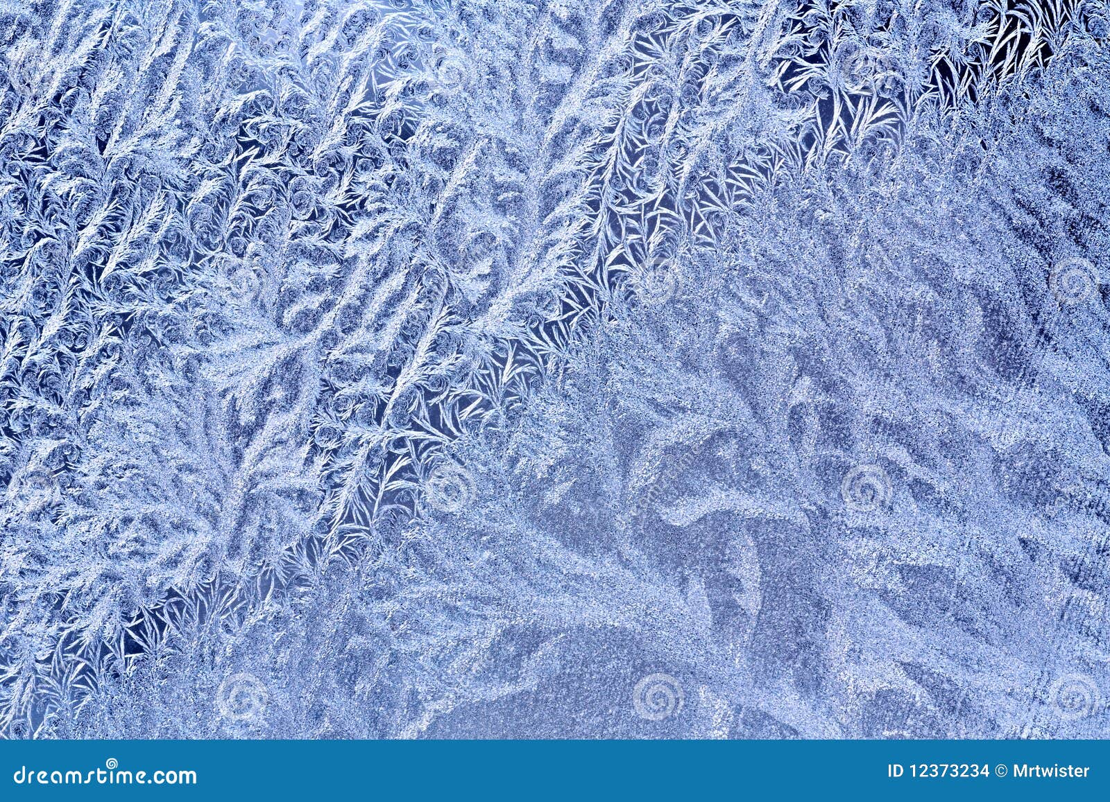 Winter ice pattern stock photo. Image of crystal, nature - 12373234