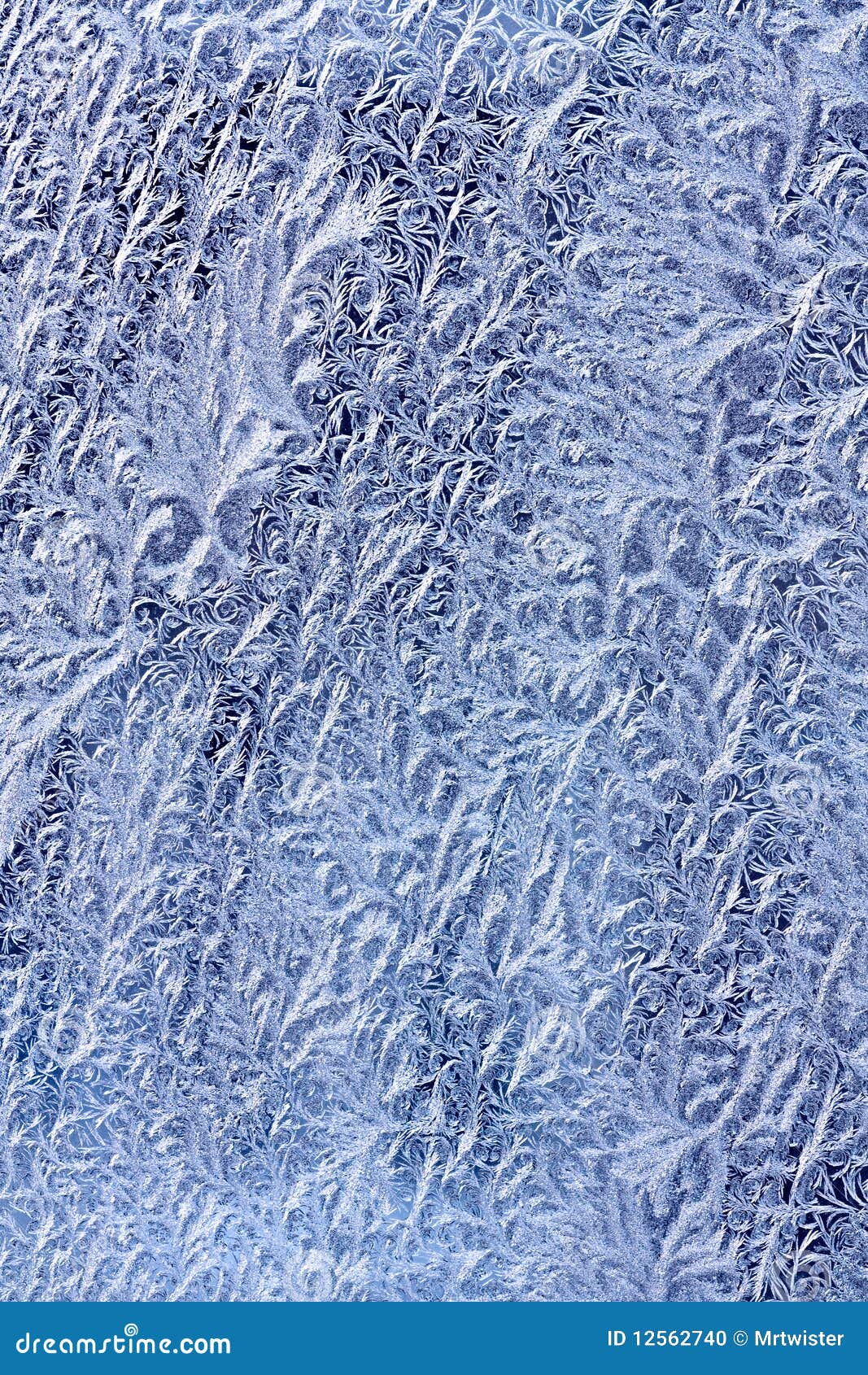 Winter ice pattern stock photo. Image of abstract, snow - 12562740