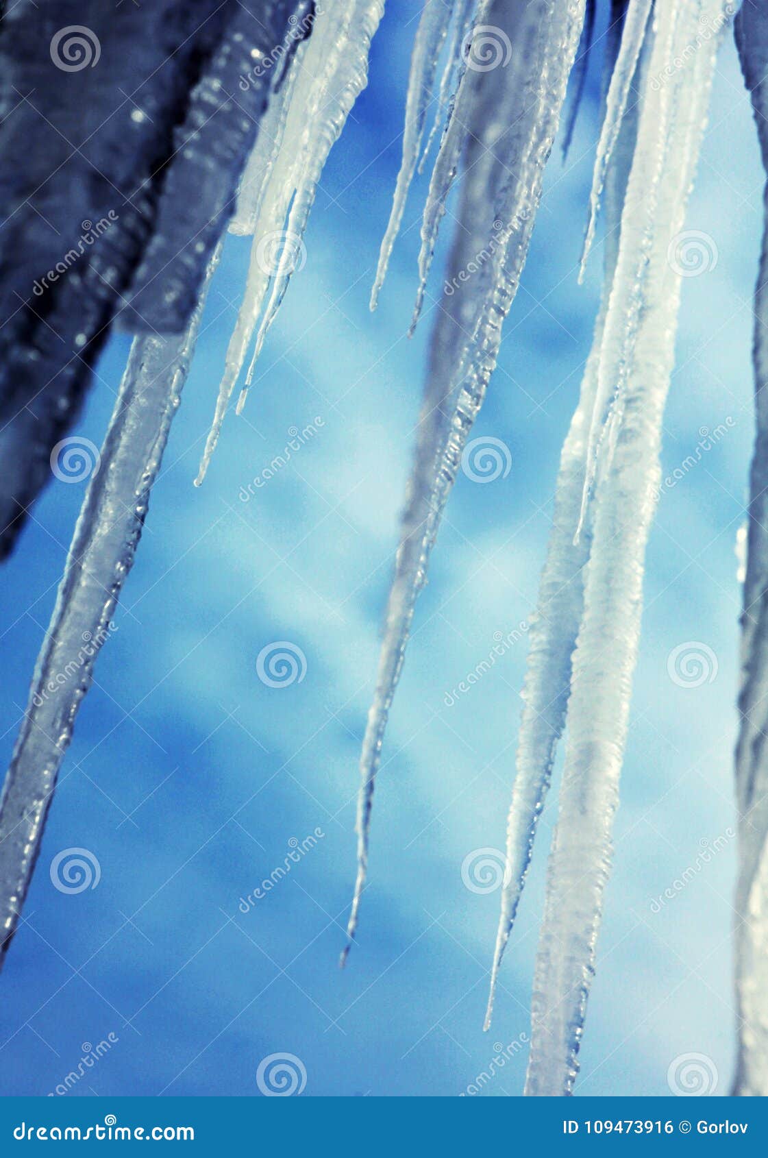 Winter Icicle Macro Background Nature Blue Sky Stock Photo - Image of ...