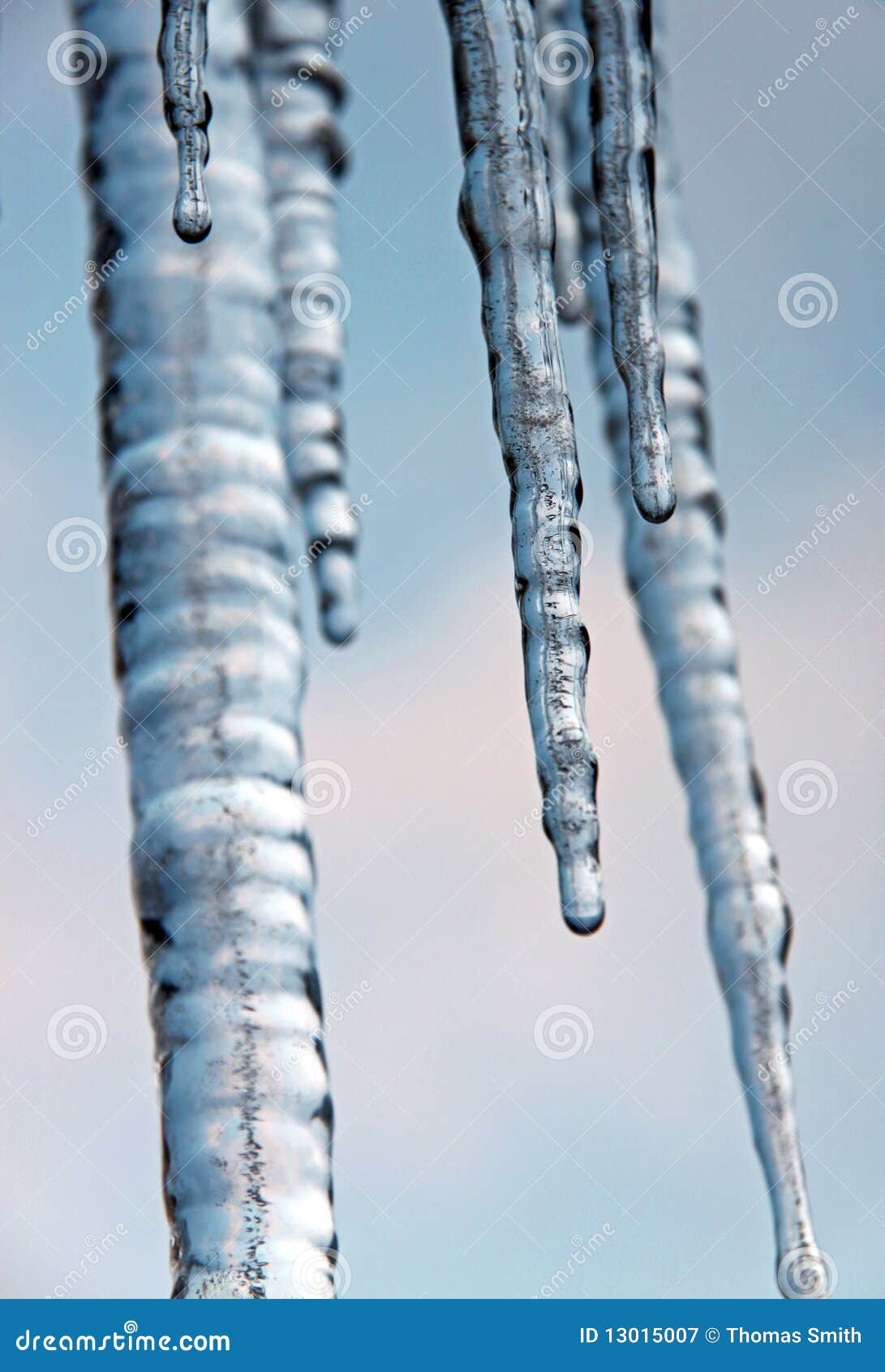 Winter icicles stock image. Image of freeze, froze, fresh - 13015007