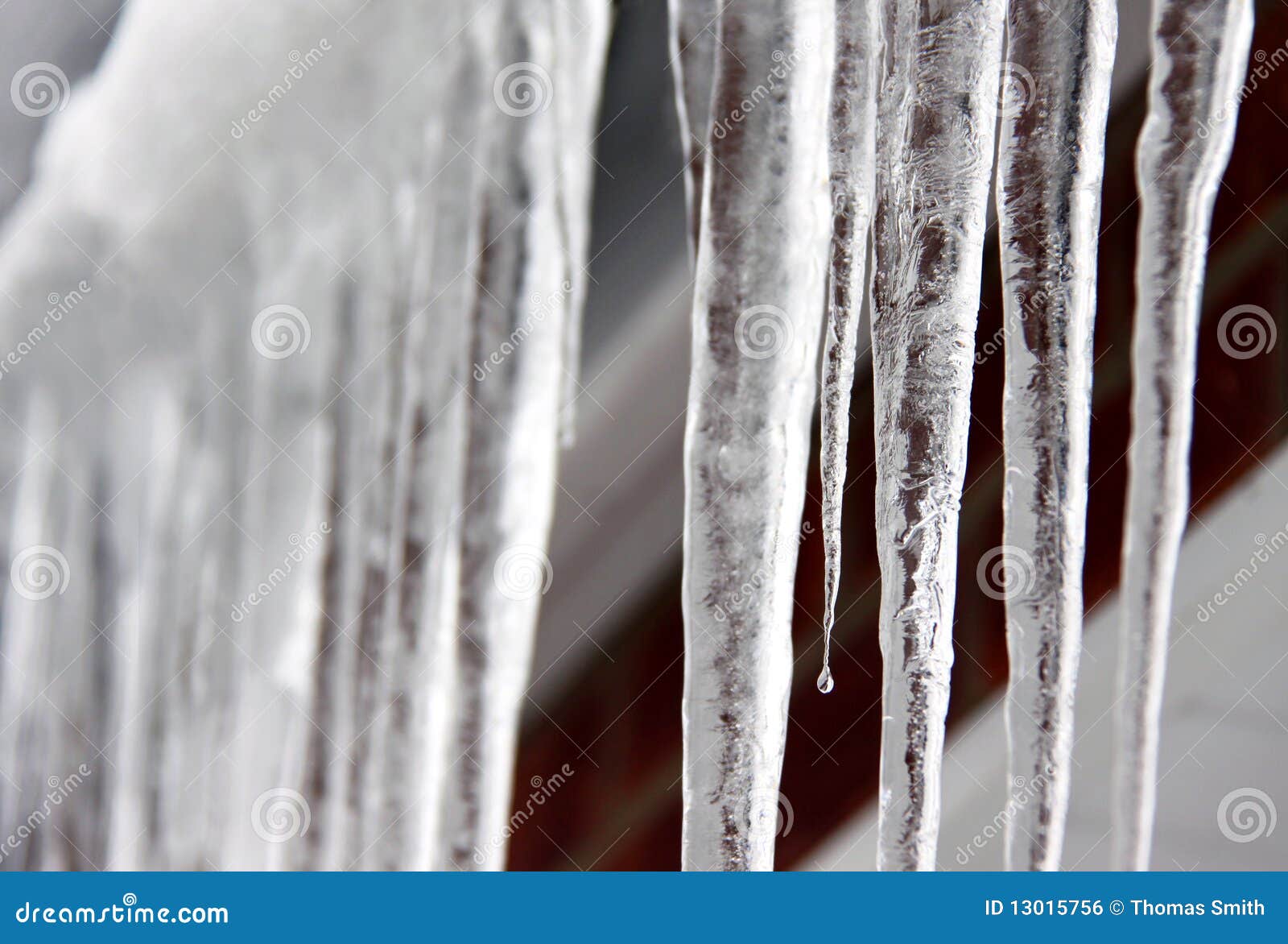 Winter icicles stock photo. Image of crystalline, icicle - 13015756
