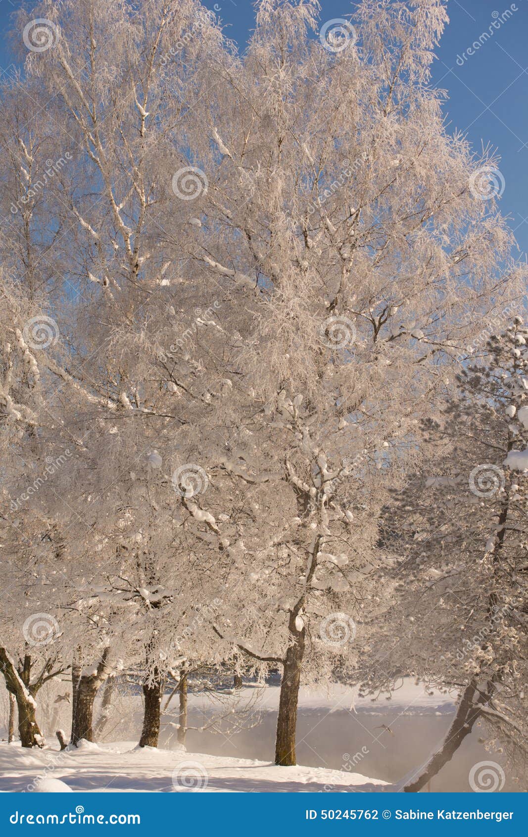 Winter idyll stock photo. Image of blue, snow, season - 50245762