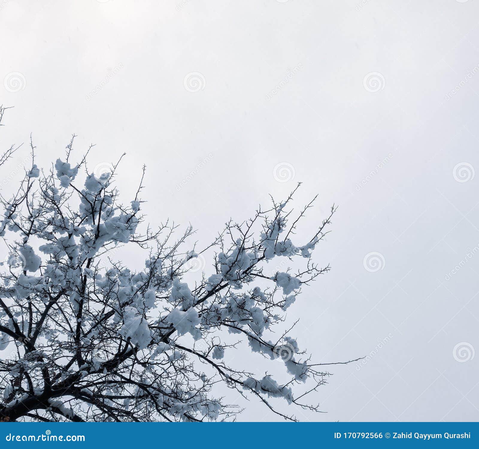 Forming Snowball Stock Photos - Free & Royalty-Free Stock Photos from ...