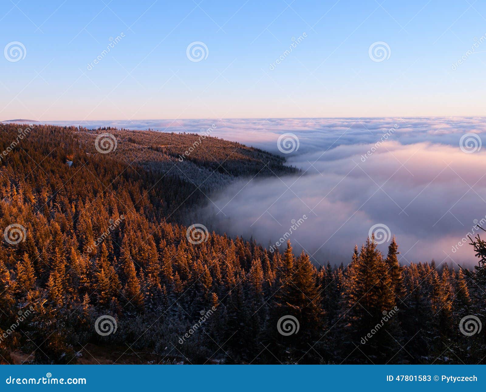Winter inversion stock image. Image of morning, inversion - 47801583