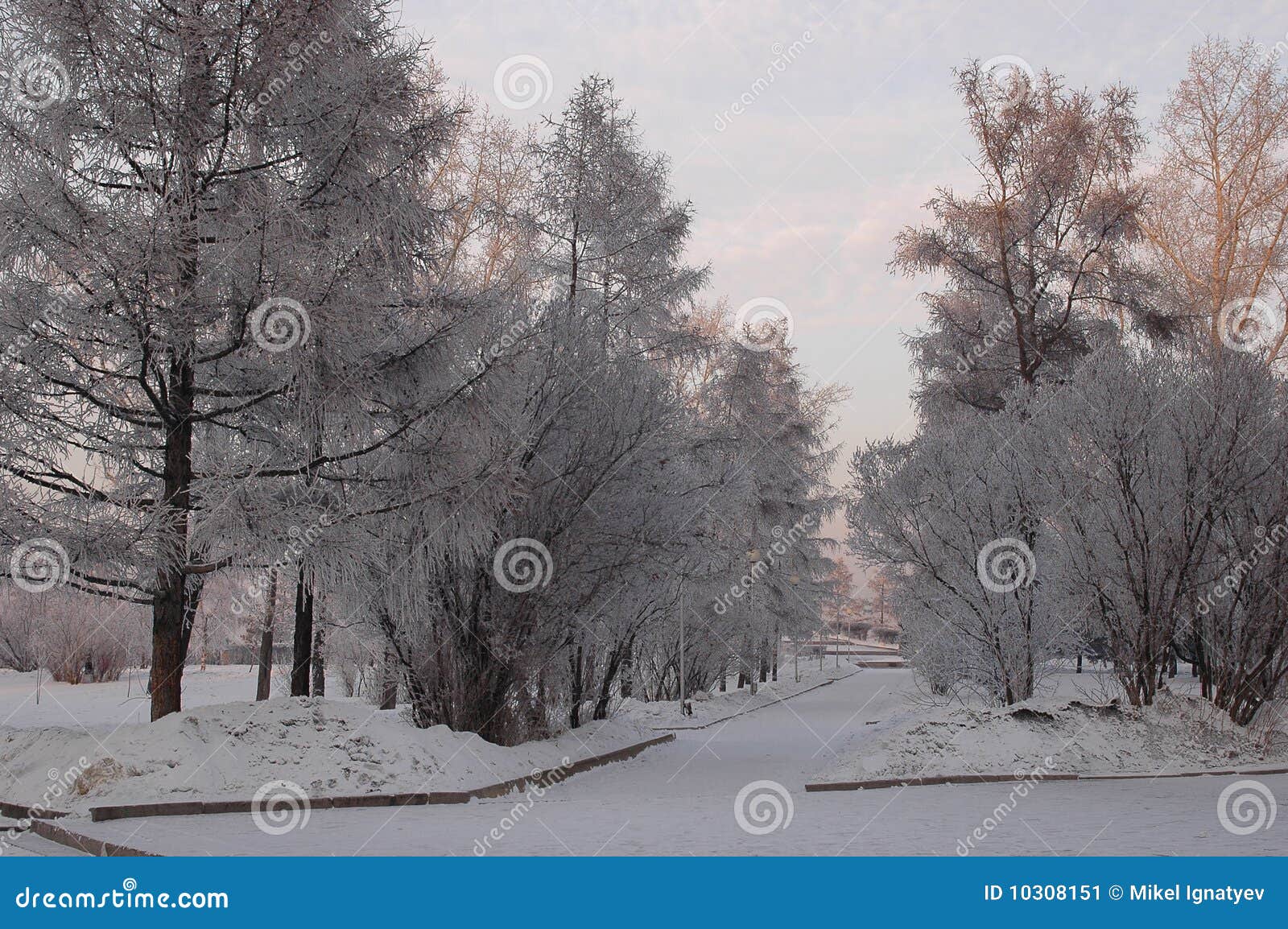 Winter Irkutsk stock image. Image of avenue, december - 10308151