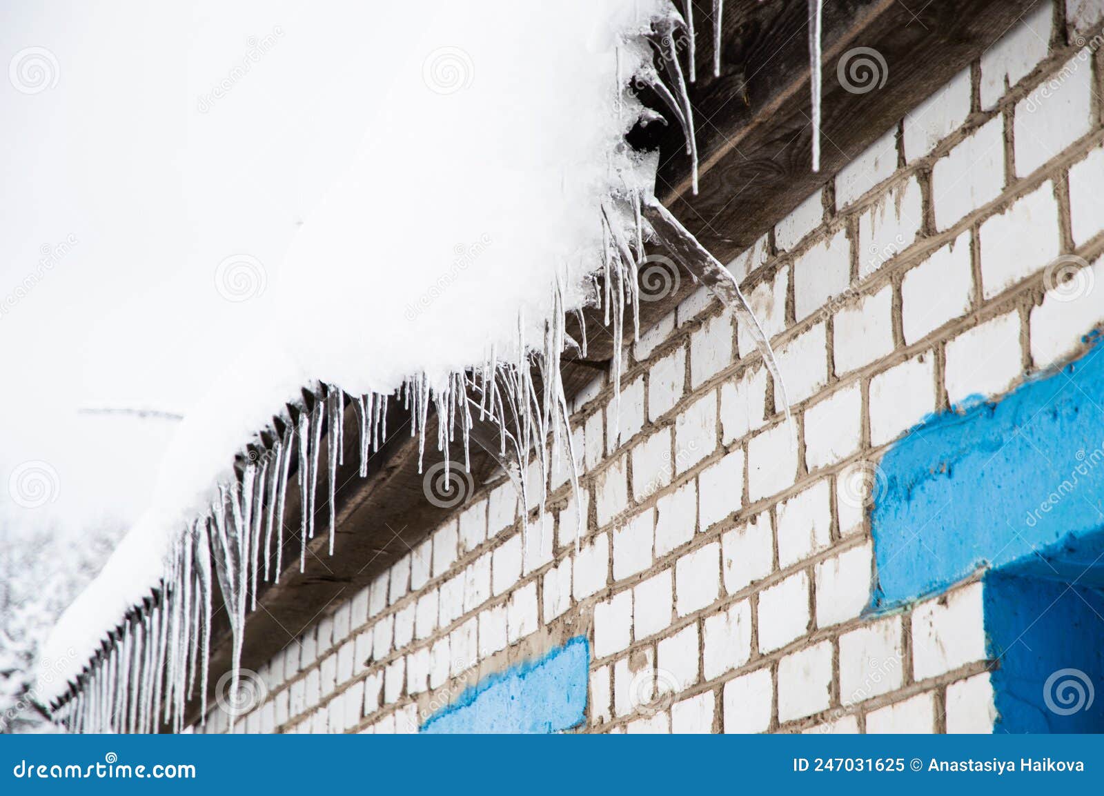 Winter, Iron Mesh Netting, All Around in the Snow Stock Image - Image ...