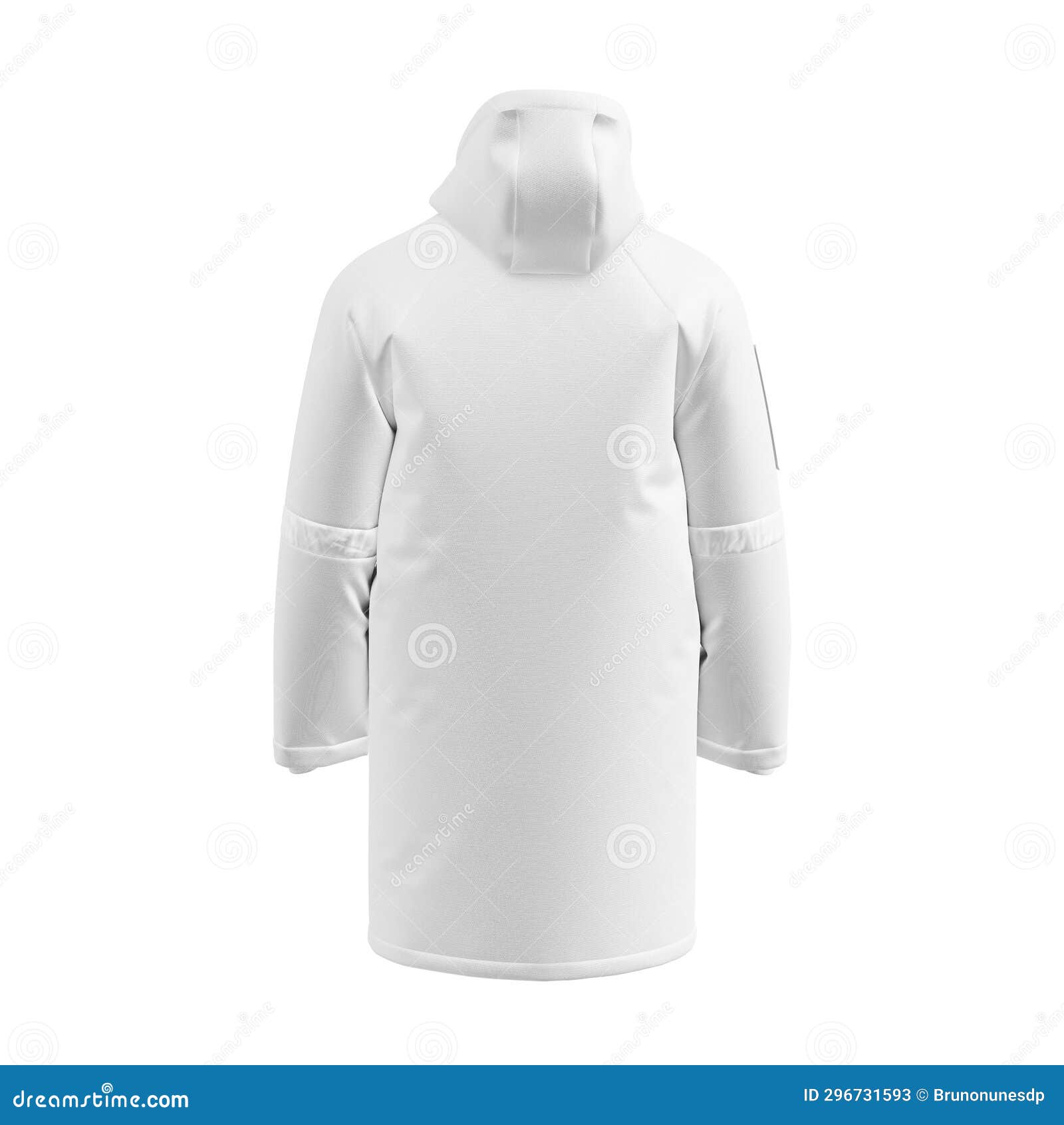 A Winter Jacket Image Isolated on a White Background Stock Illustration ...