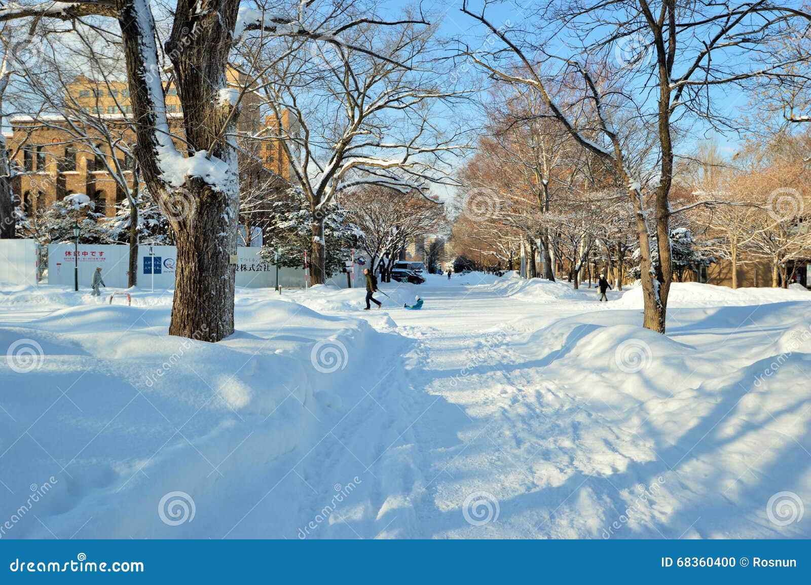 Winter in Japan. editorial image. Image of barren, huge - 68360400